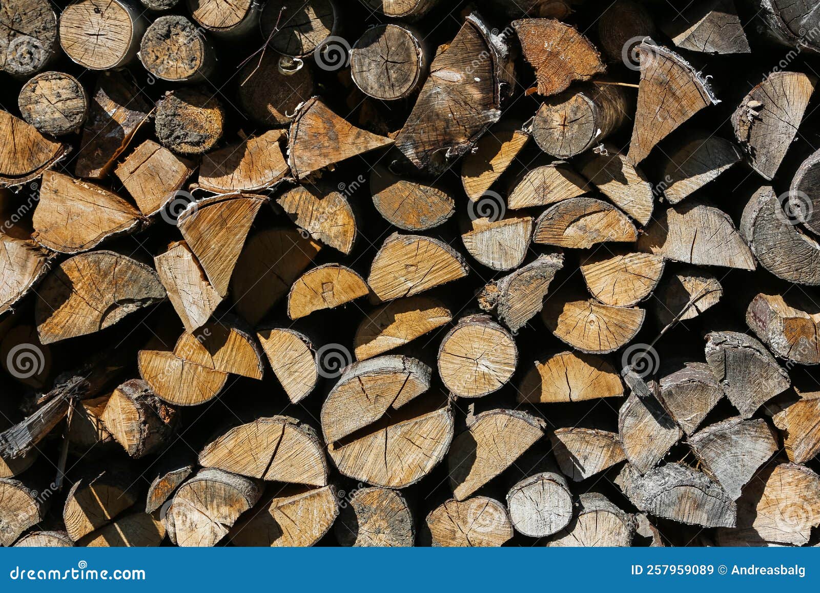 Log Trunks Pile, the Logging Timber Forest Wood Industry. Sawn Trees ...