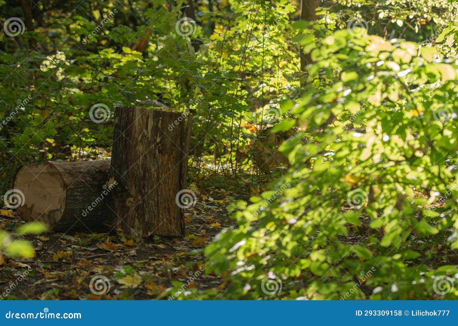 Parts Tree Of The Airplane Model In Hand, Banner. Sprue From A Plastic ...