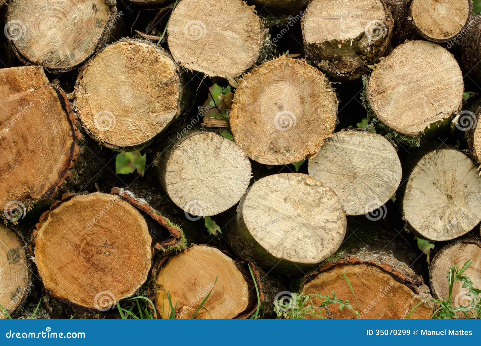 Sawn wood piled stock image. Image of brown, chainsaw - 35070299