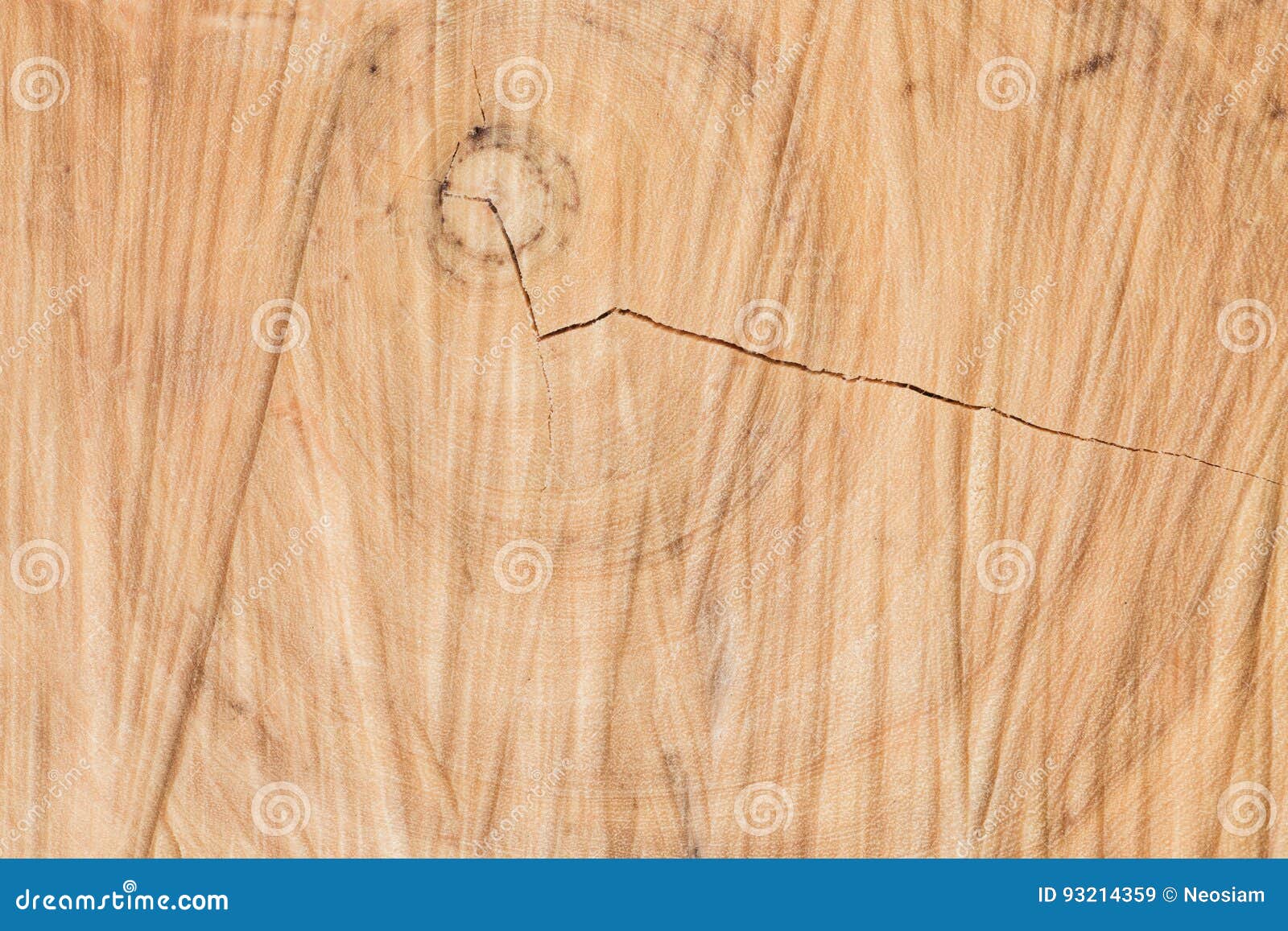 Sawn Wood Texture As Background Stock Image - Image of grain, bark ...