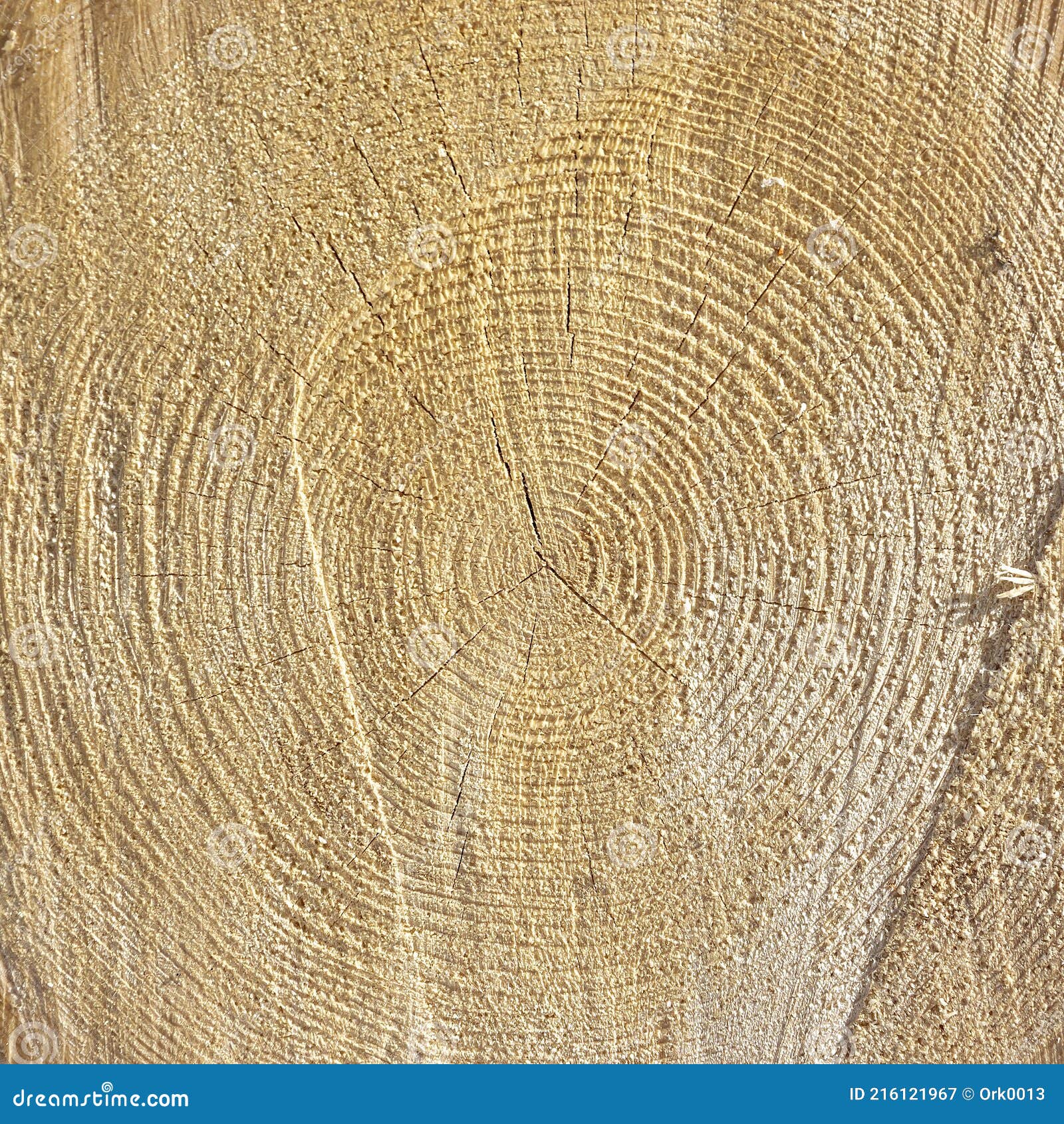 Sawn wood texture stock image. Image of natural, circle - 216121967