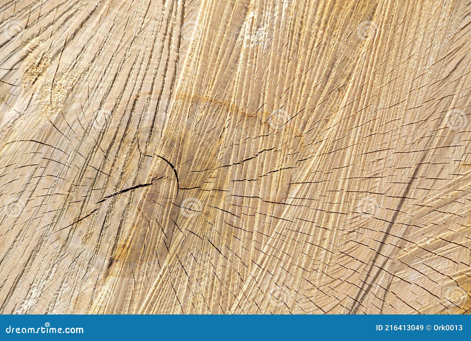 Sawn wood texture stock image. Image of natural, rough - 216413049