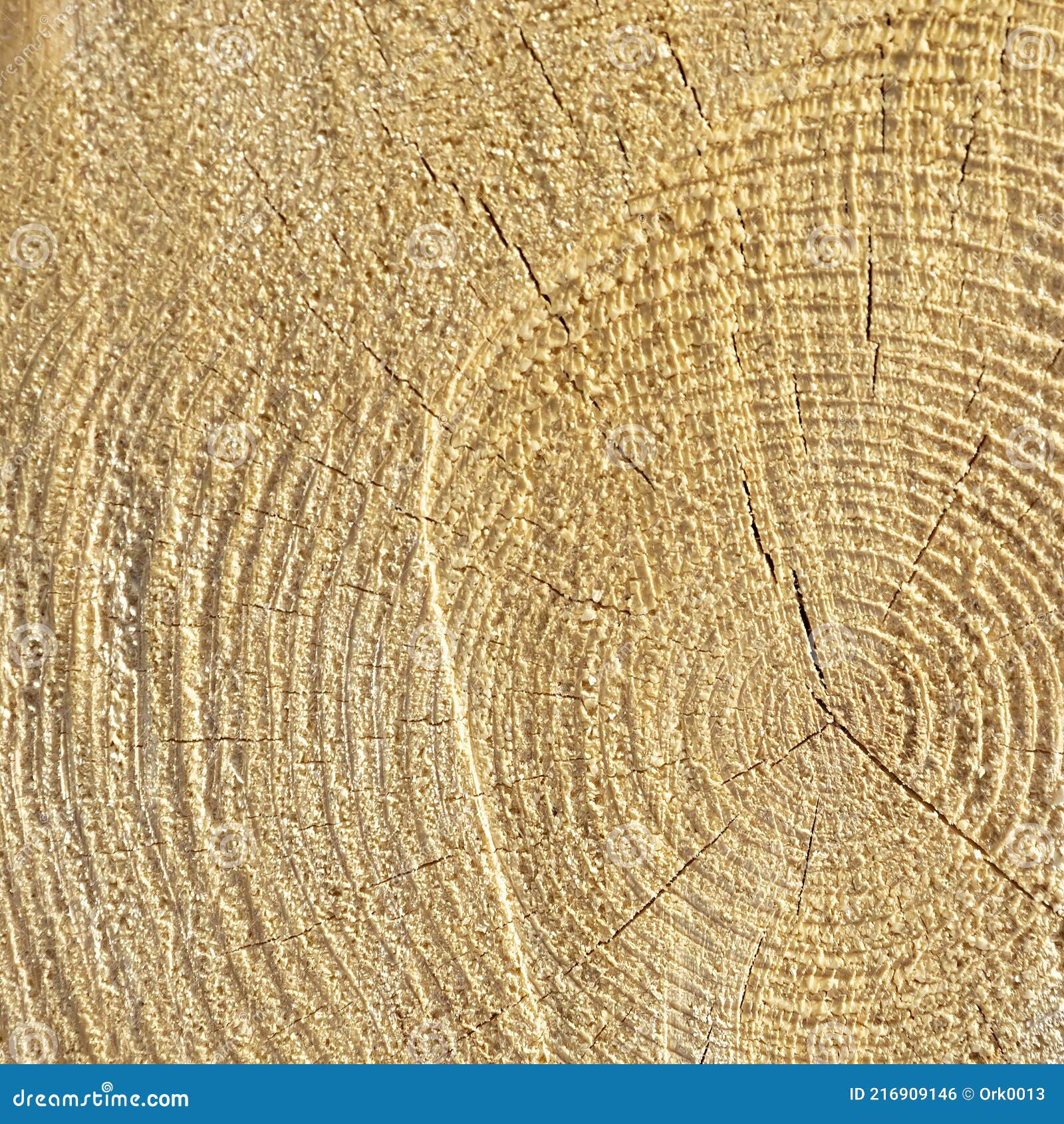 Sawn wood texture stock photo. Image of detail, grain - 216909146