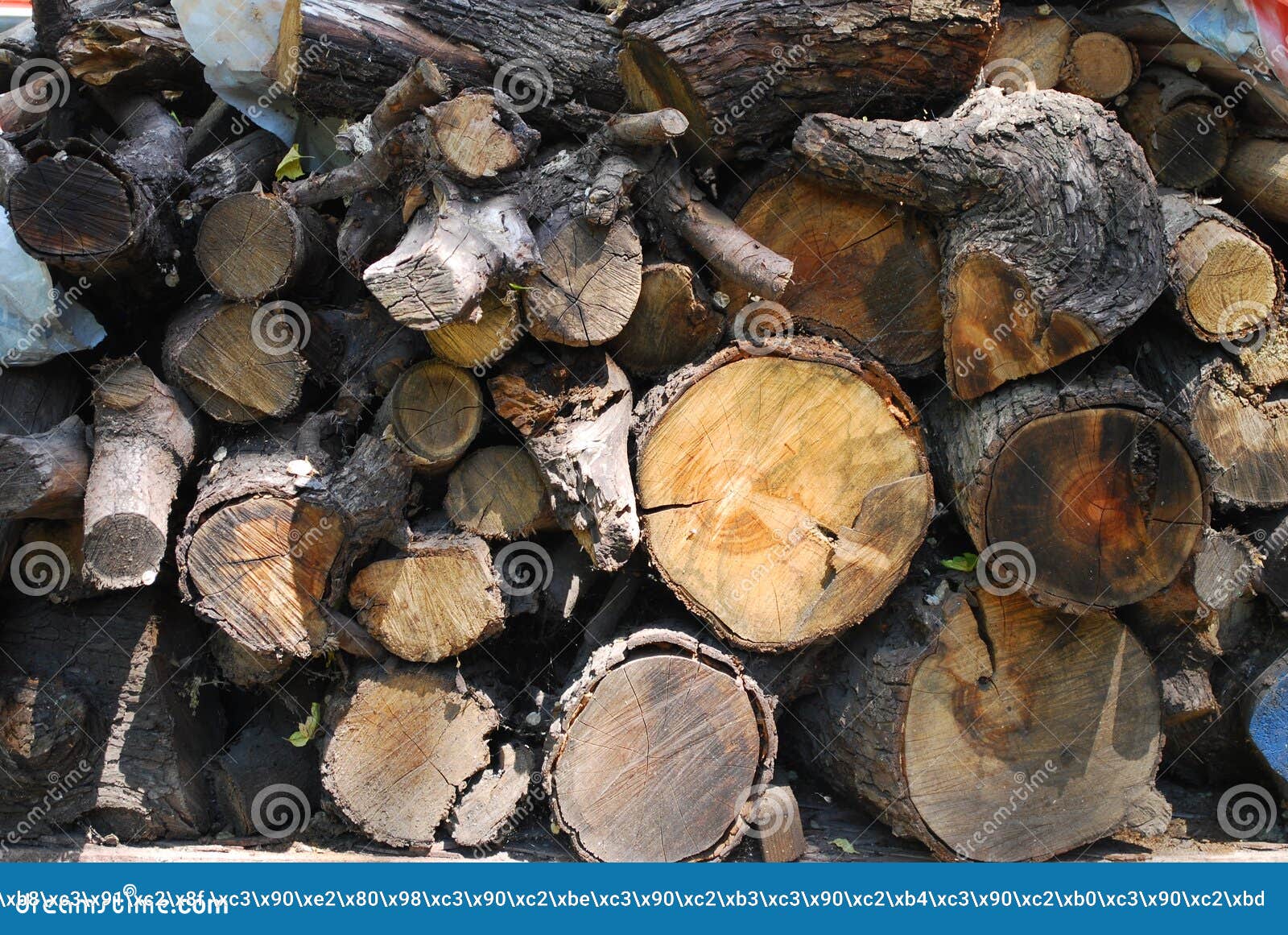 Sawn Wooden Logs Crooked Plan Stock Photo - Image of closeup, crack ...