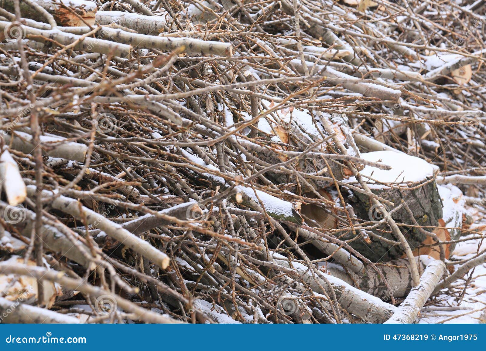 Sawn Wooden Logs and Small Twigs Stock Image - Image of snowflake ...