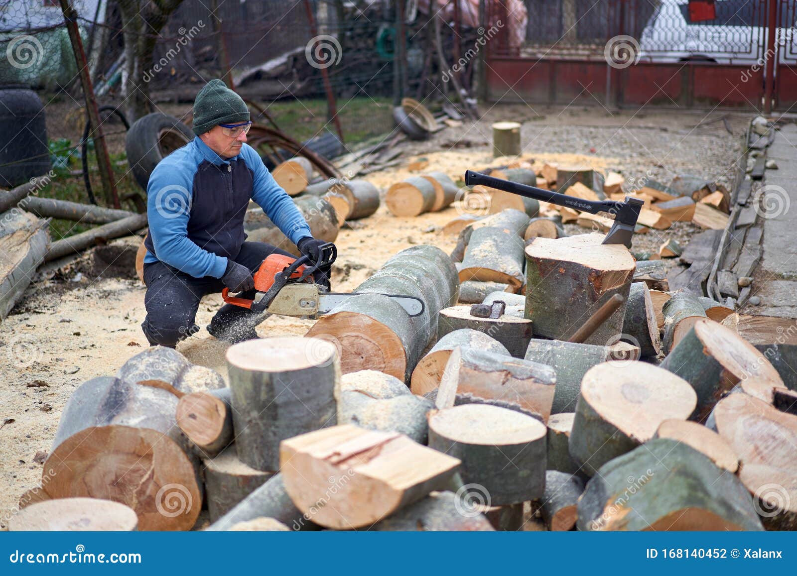Sawyer bucking logs stock photo. Image of person, lumbering - 168140452