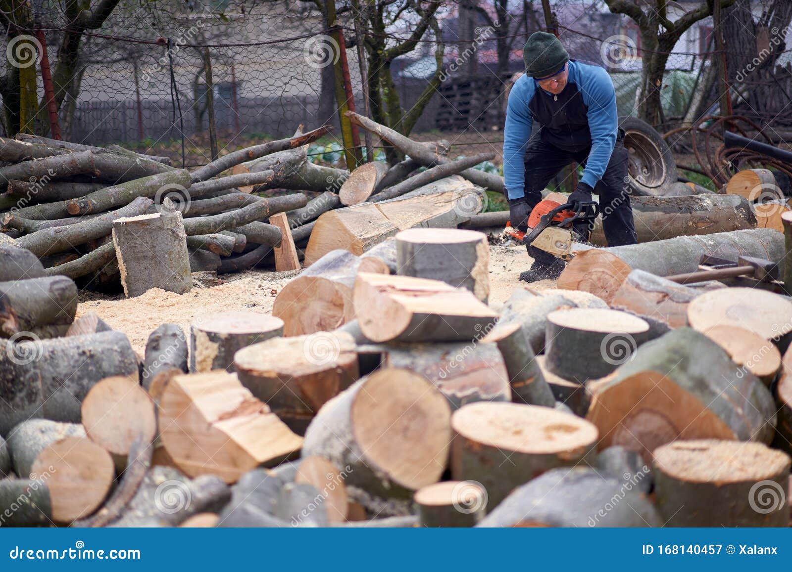 Sawyer bucking logs stock image. Image of people, male - 168140457