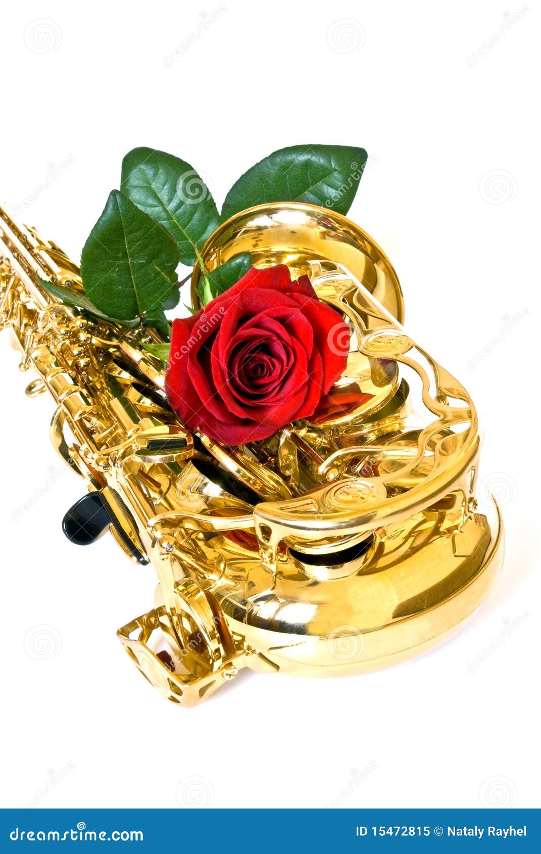 Sax and rose stock image. Image of shine, saxophone, alto - 15472815