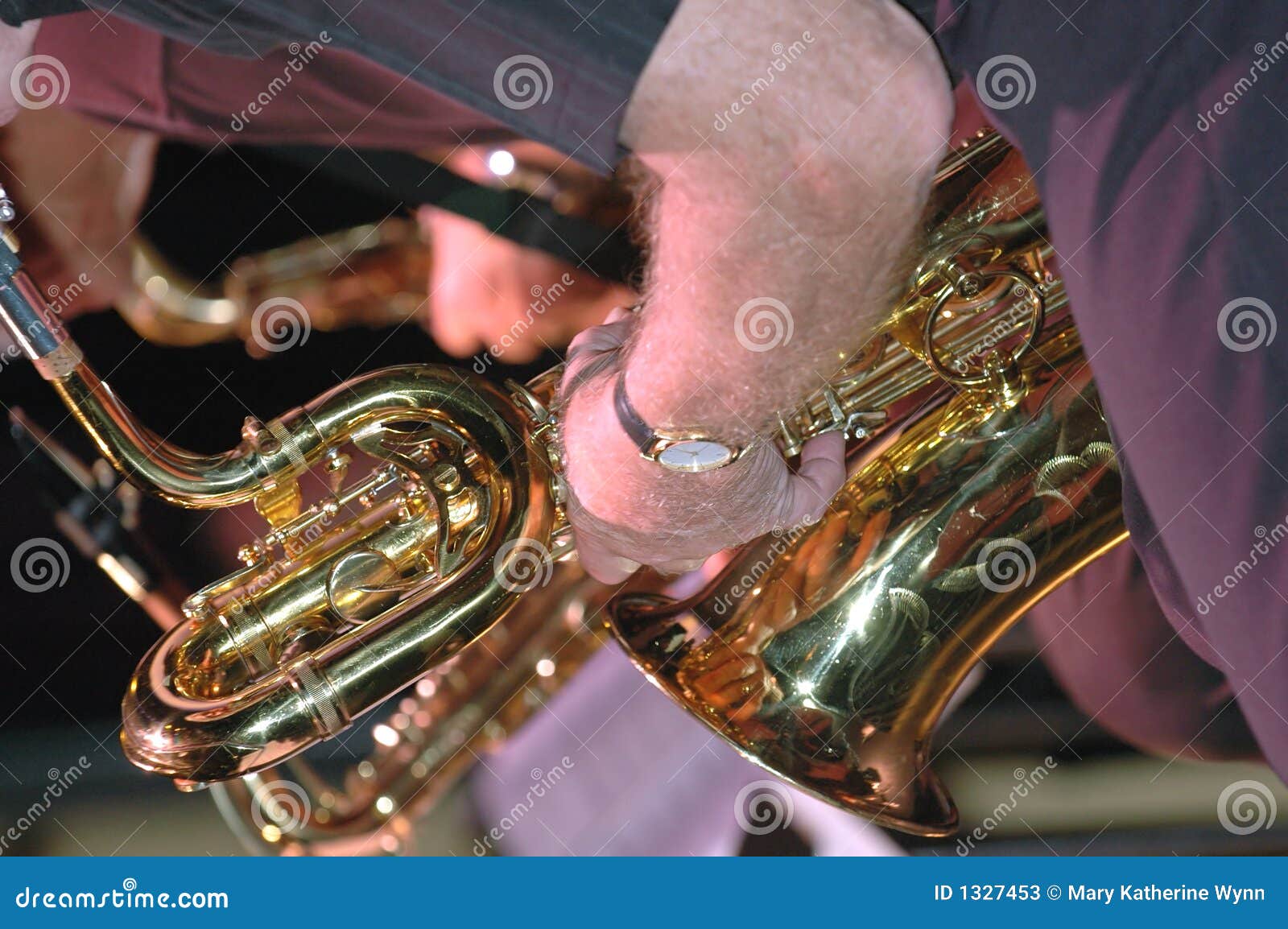 Saxaphones in concert stock image. Image of harmonic, performer - 1327453