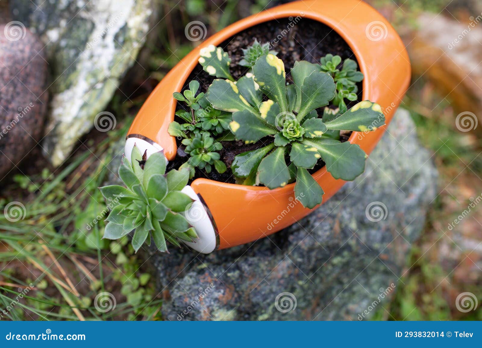 Alpine Slide Royalty-Free Stock Photo | CartoonDealer.com #44693169