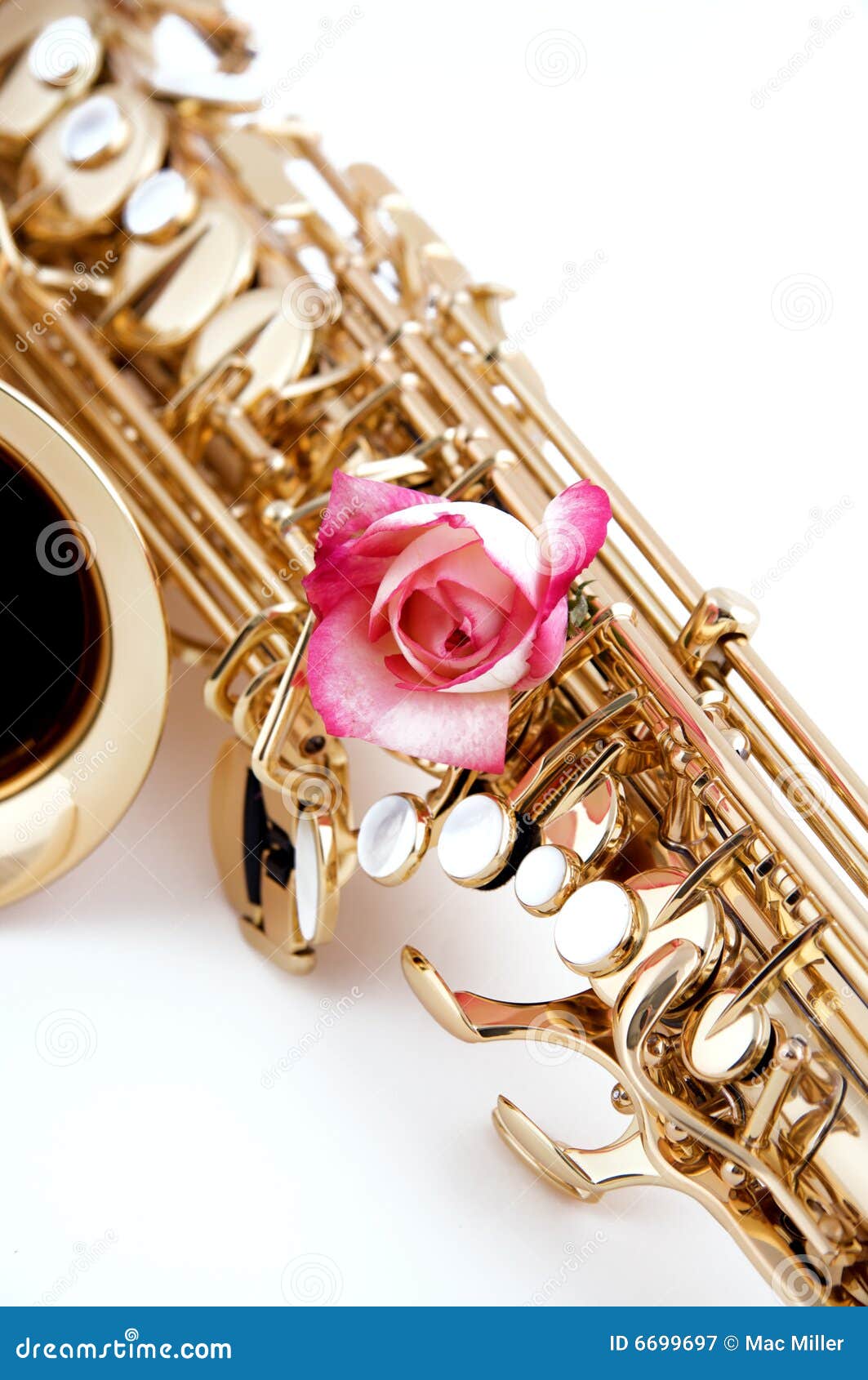 Saxofone Do Ouro E Rosa Cor-de-rosa Em Bk Branco Imagem de Stock ...