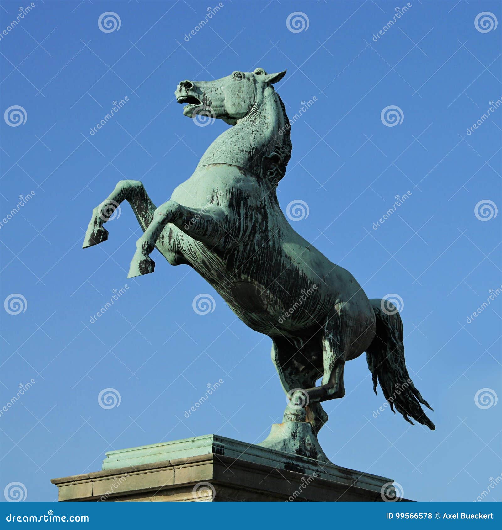 Saxon Steed stock photo. Image of monument, hanover, horse - 99566578