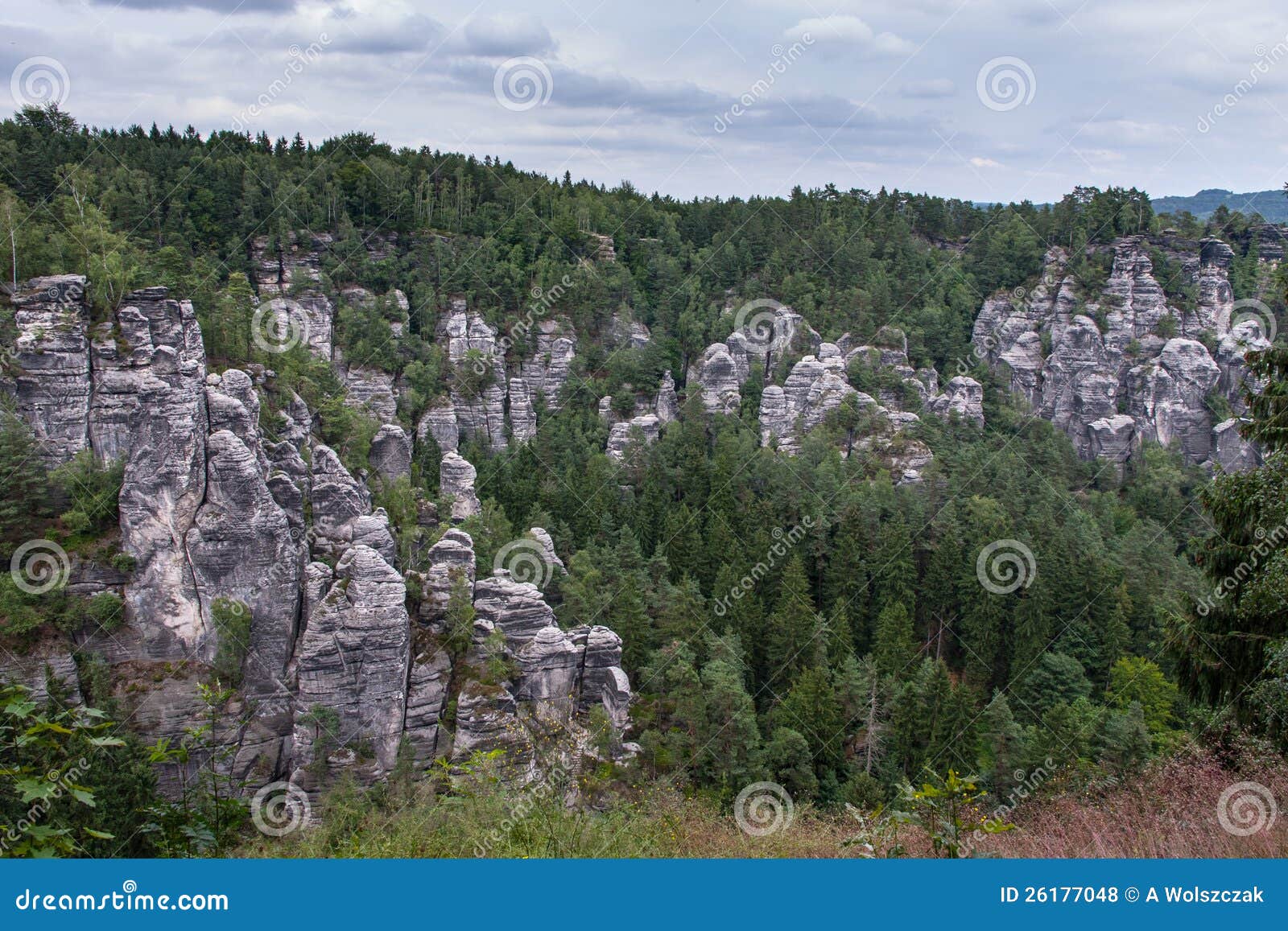 Saxon Switzerland National Park Stock Photo - Image of bedrock ...