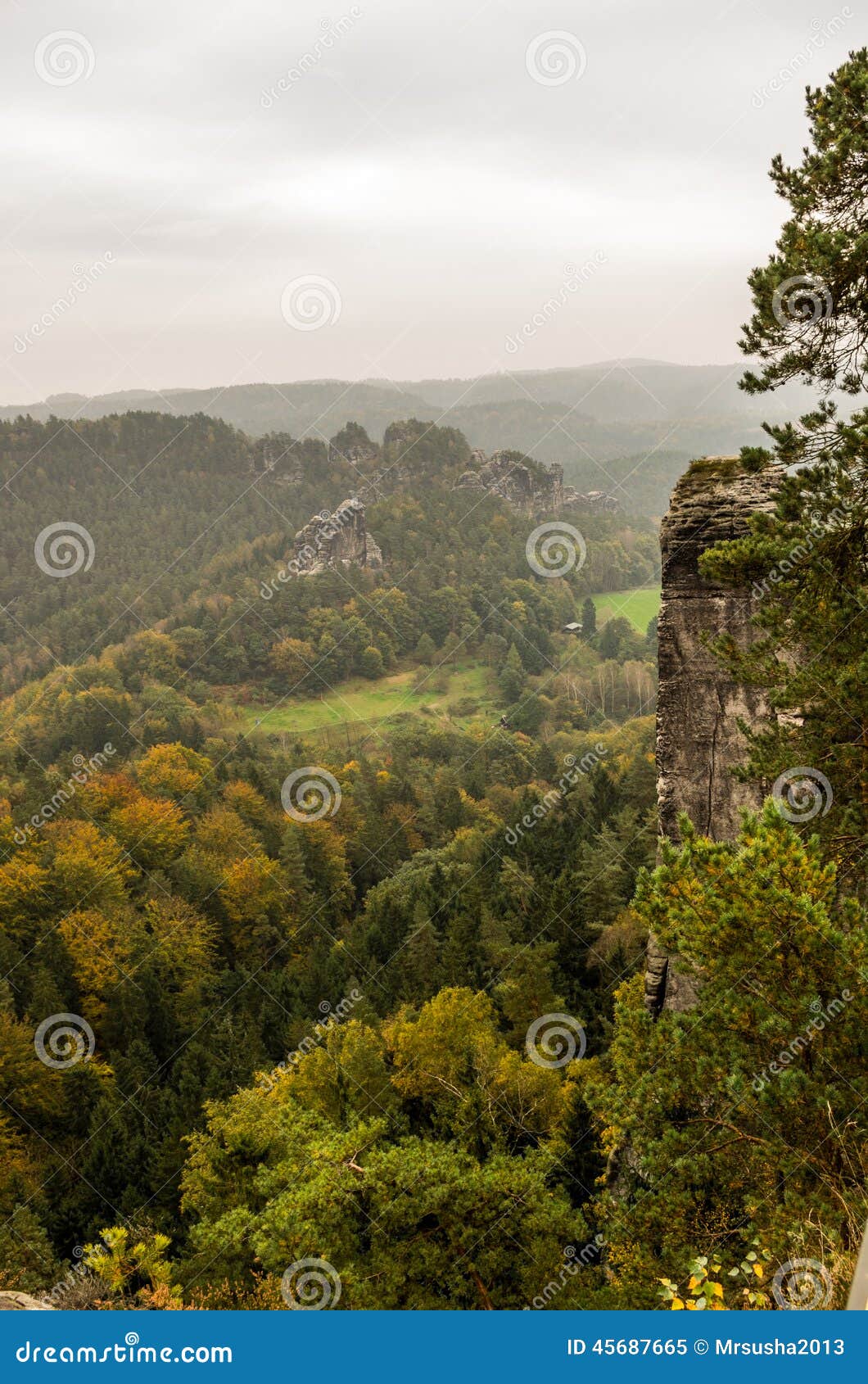 Saxony stock image. Image of saxon, elbsandstein, forest - 45687665