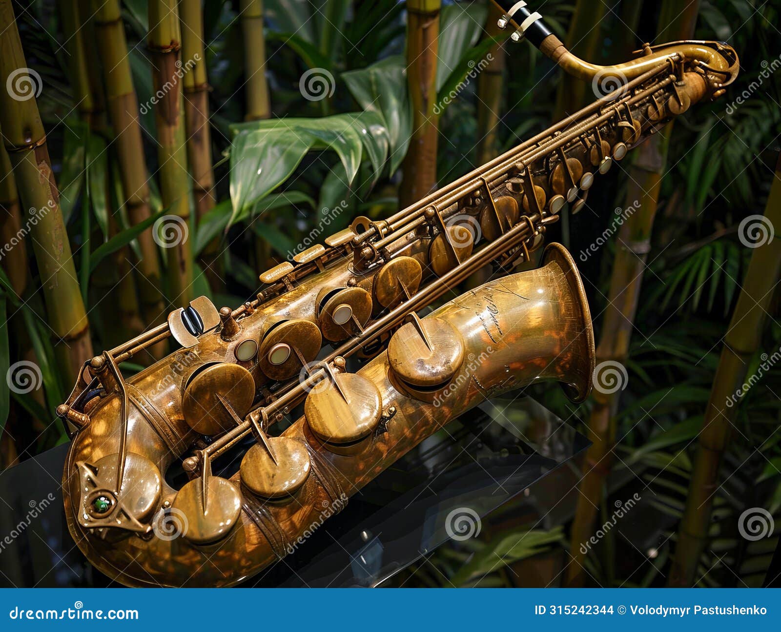A Saxophone is on Display in Front of Bamboo Plants Stock Photo - Image ...