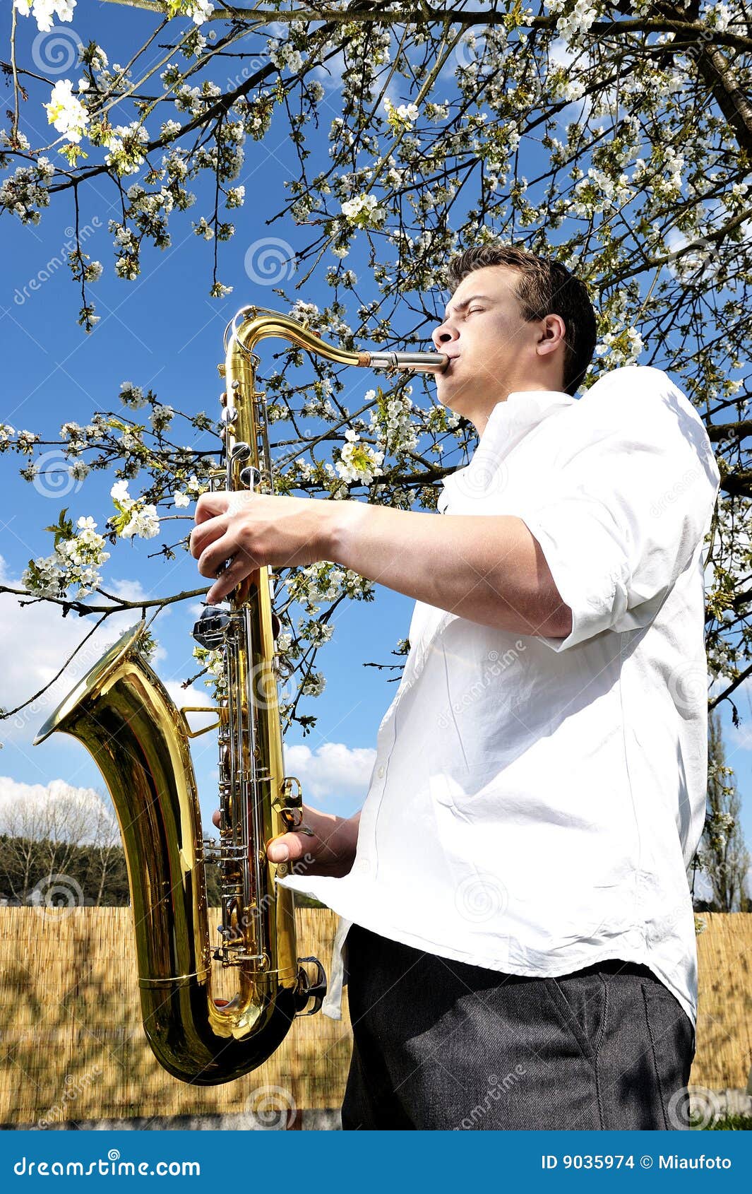Saxy player men stock photo. Image of musical, button - 9035974