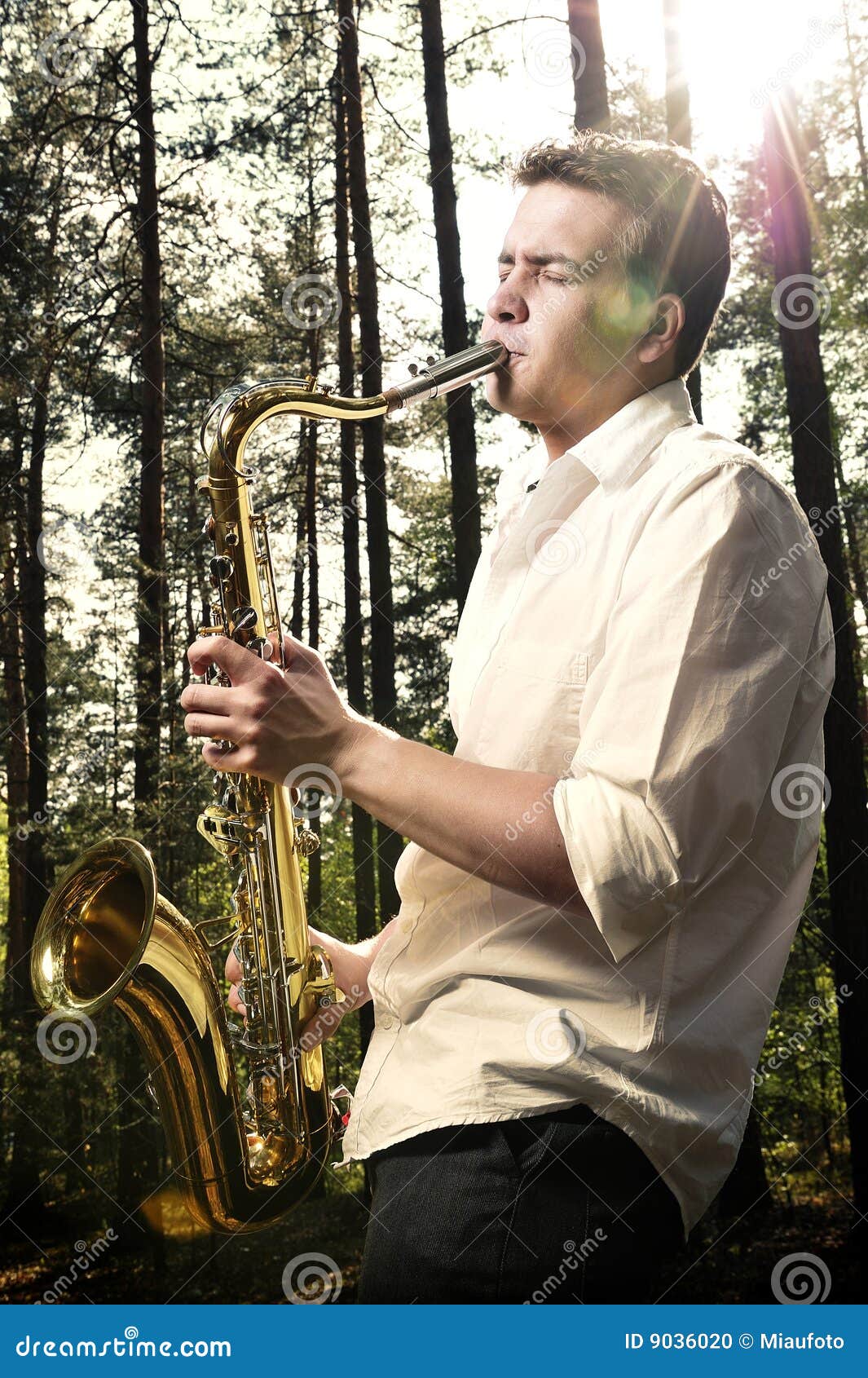 Saxy player men stock photo. Image of reflex, flyer, golden - 9036020