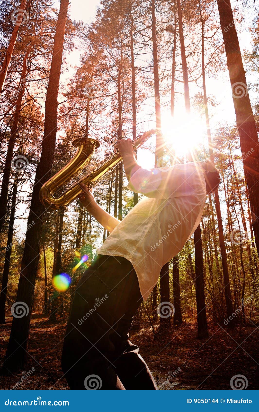 Saxy player men stock photo. Image of saxy, classic, note - 9050144