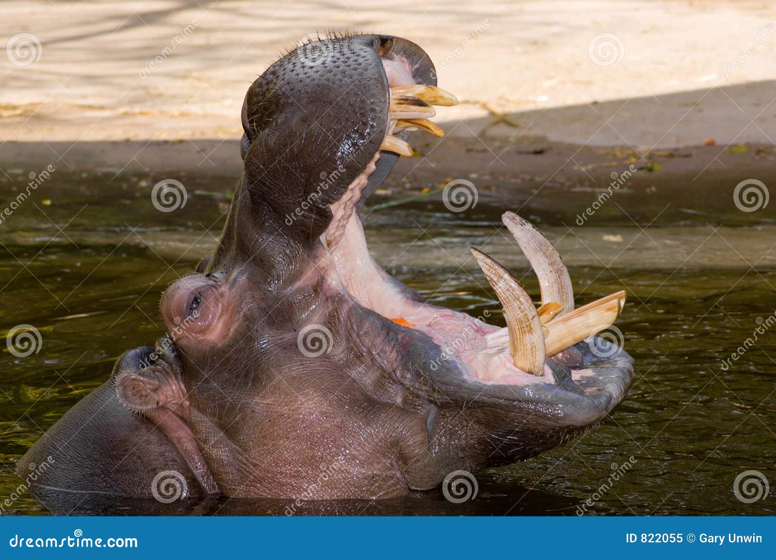 Say Aaahhh Stock Photos - Free & Royalty-Free Stock Photos from Dreamstime