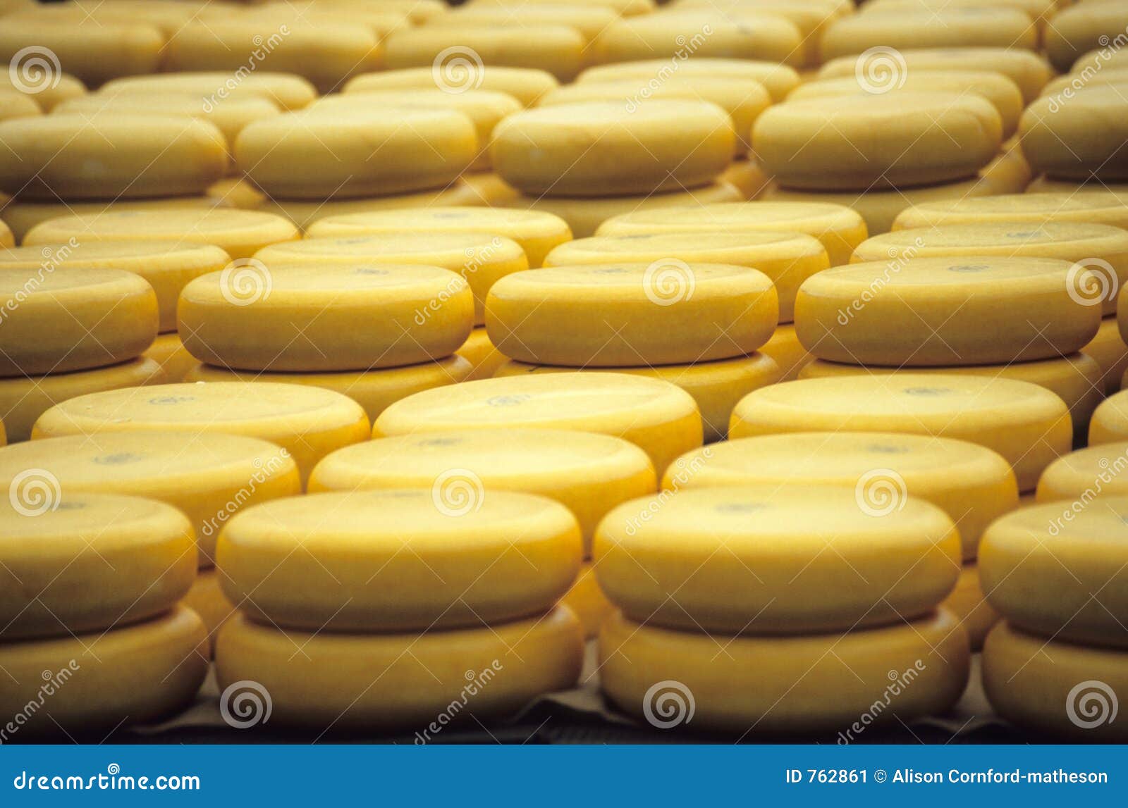Say Cheese stock image. Image of gouda, europe, dutch, wheels - 762861