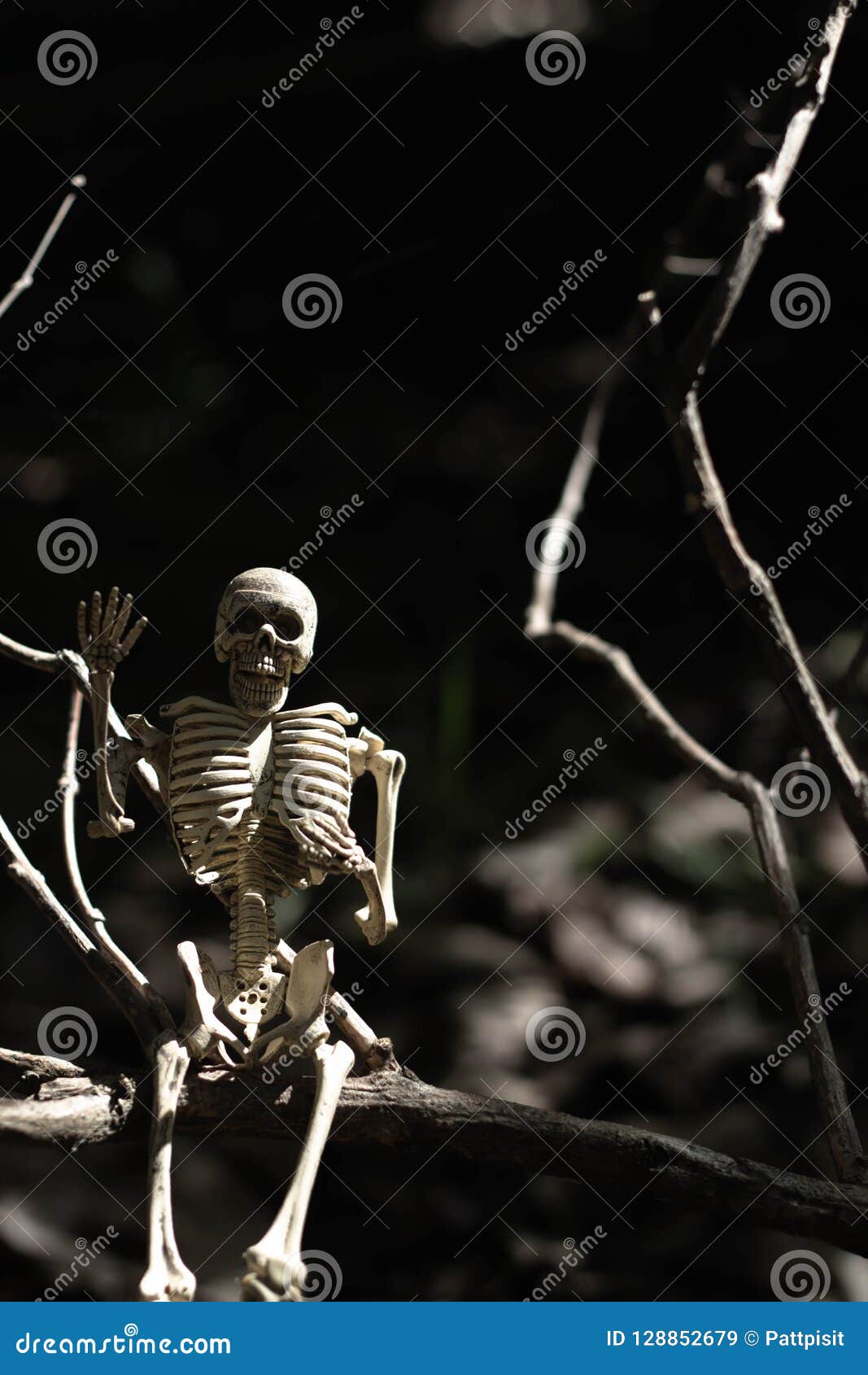 Say Hello Skeleton on the Tree Stock Image - Image of call, hello ...