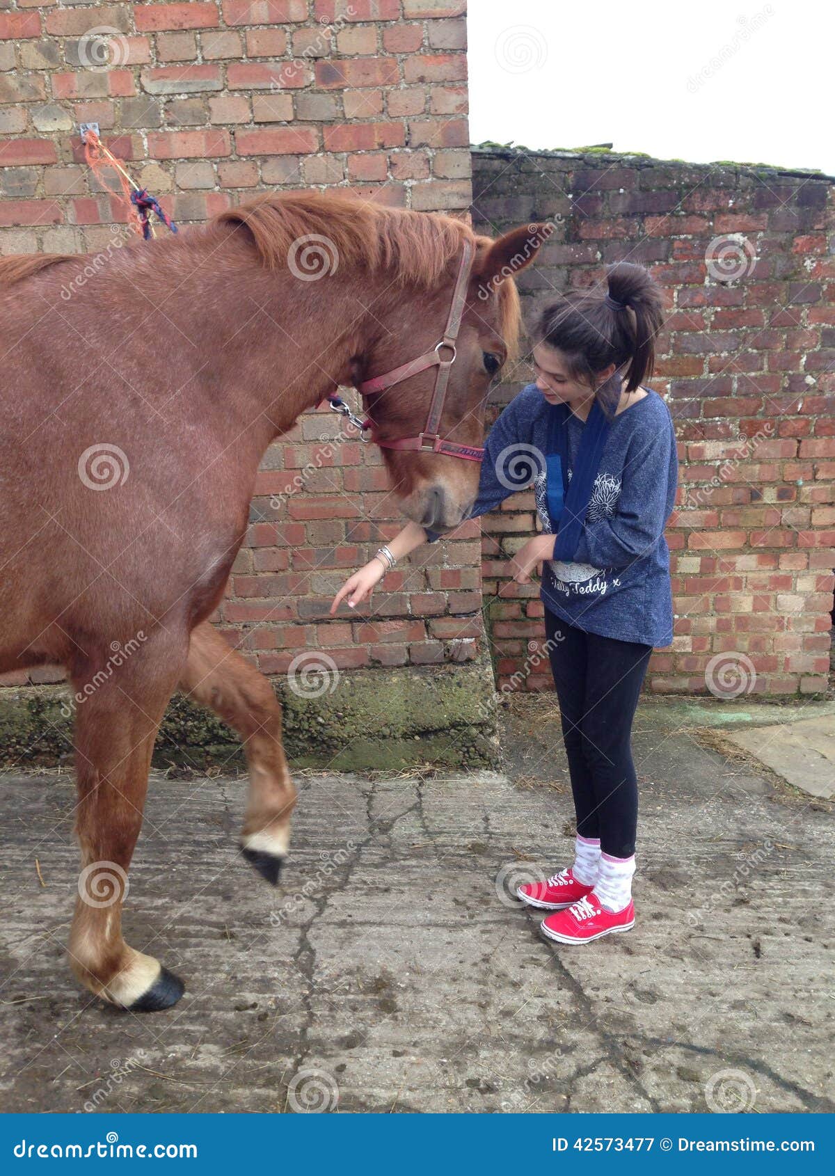 Say please editorial photography. Image of kids, horses - 42573477