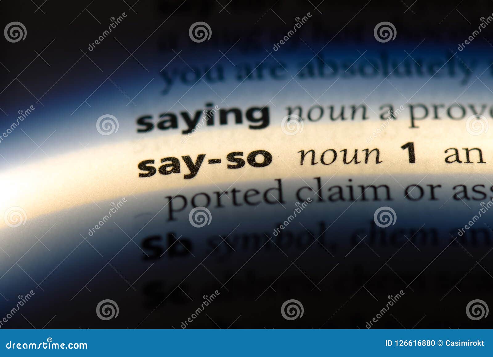 Say so stock photo. Image of word, text, printed, definition - 126616880
