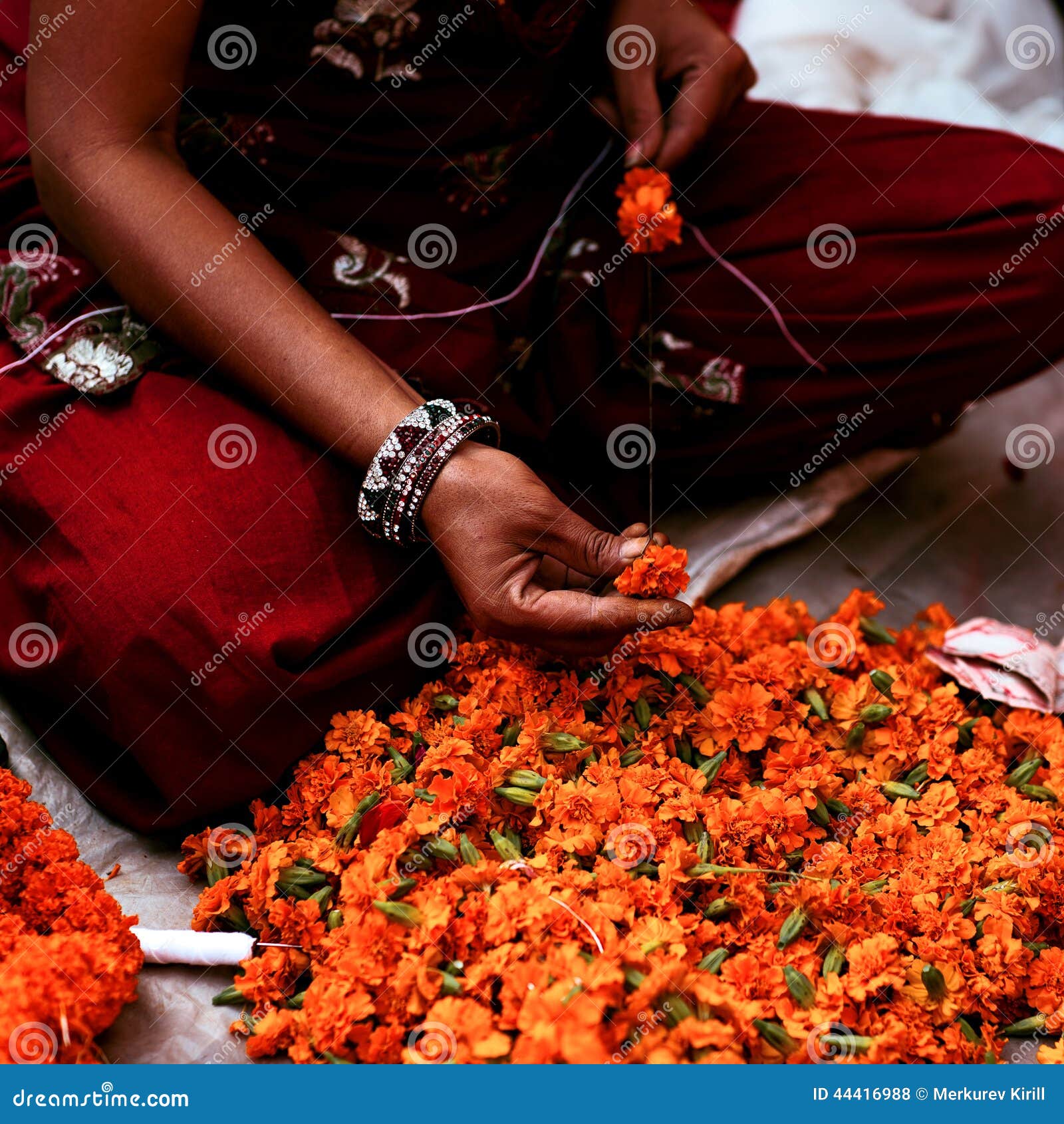 Sayapatri stock photo. Image of summer, sayapatri, time - 44416988