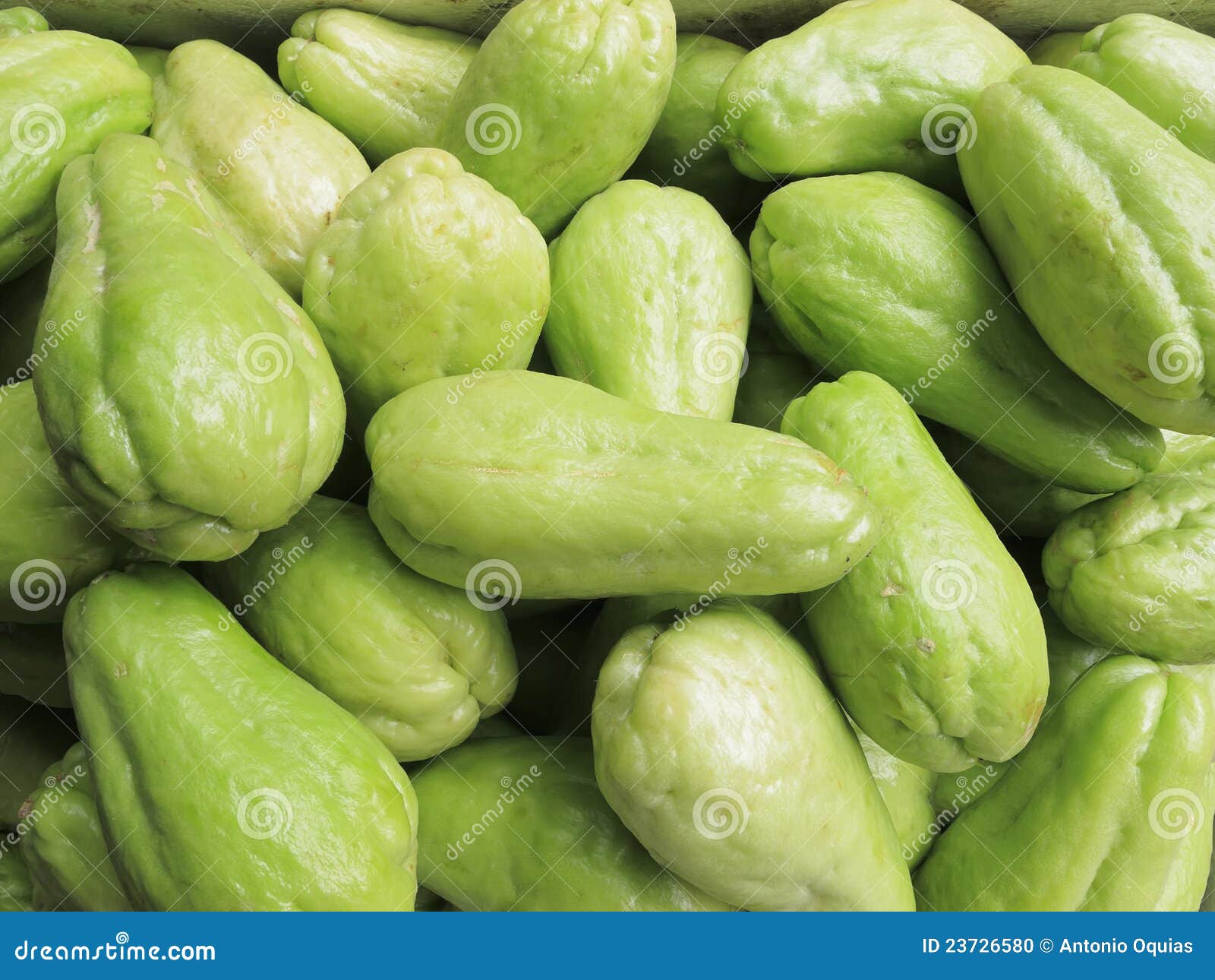 886 Sayote Stock Photos - Free & Royalty-Free Stock Photos from Dreamstime