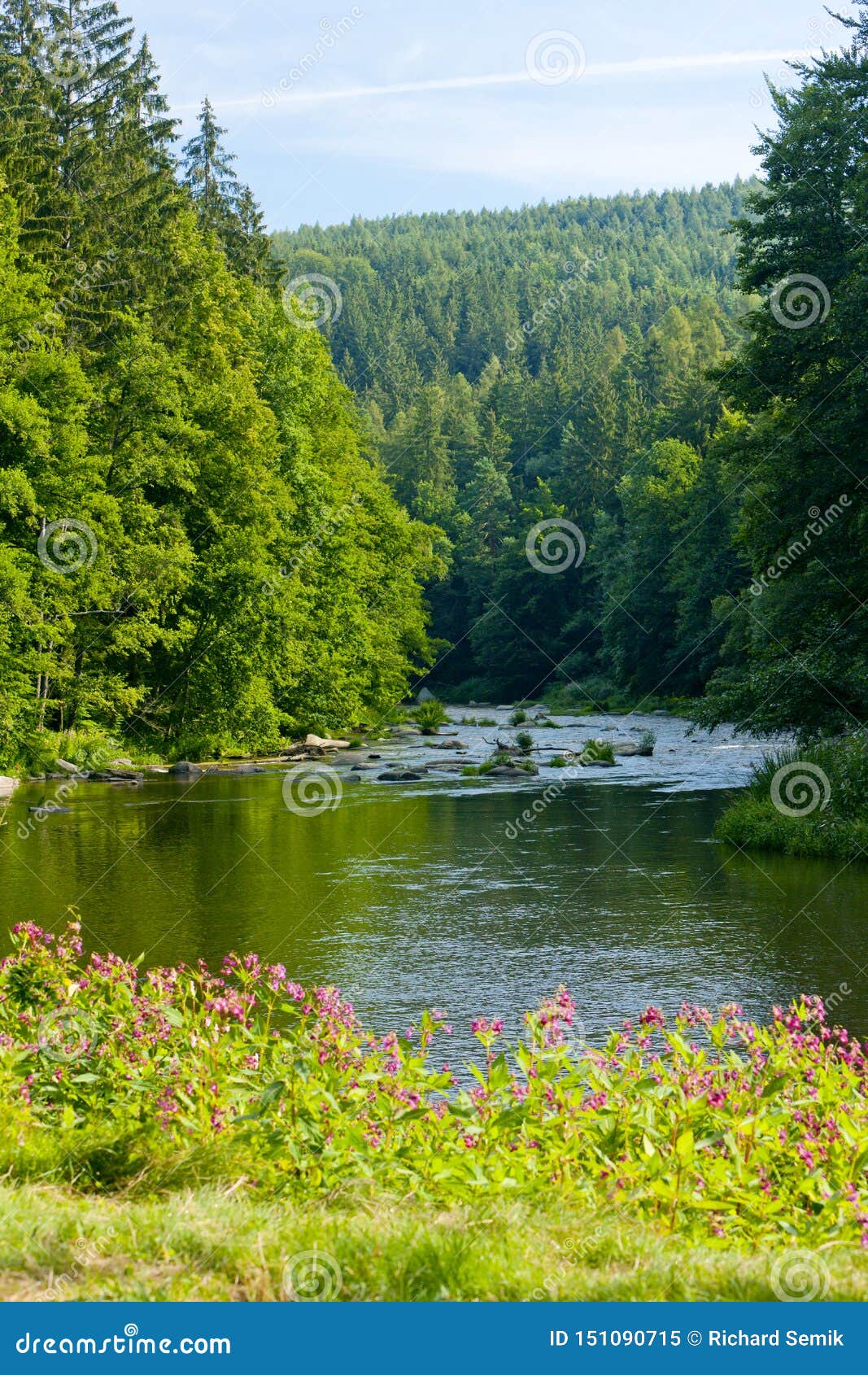 Sazava River, Czech Republic Stock Image - Image of river, europe ...