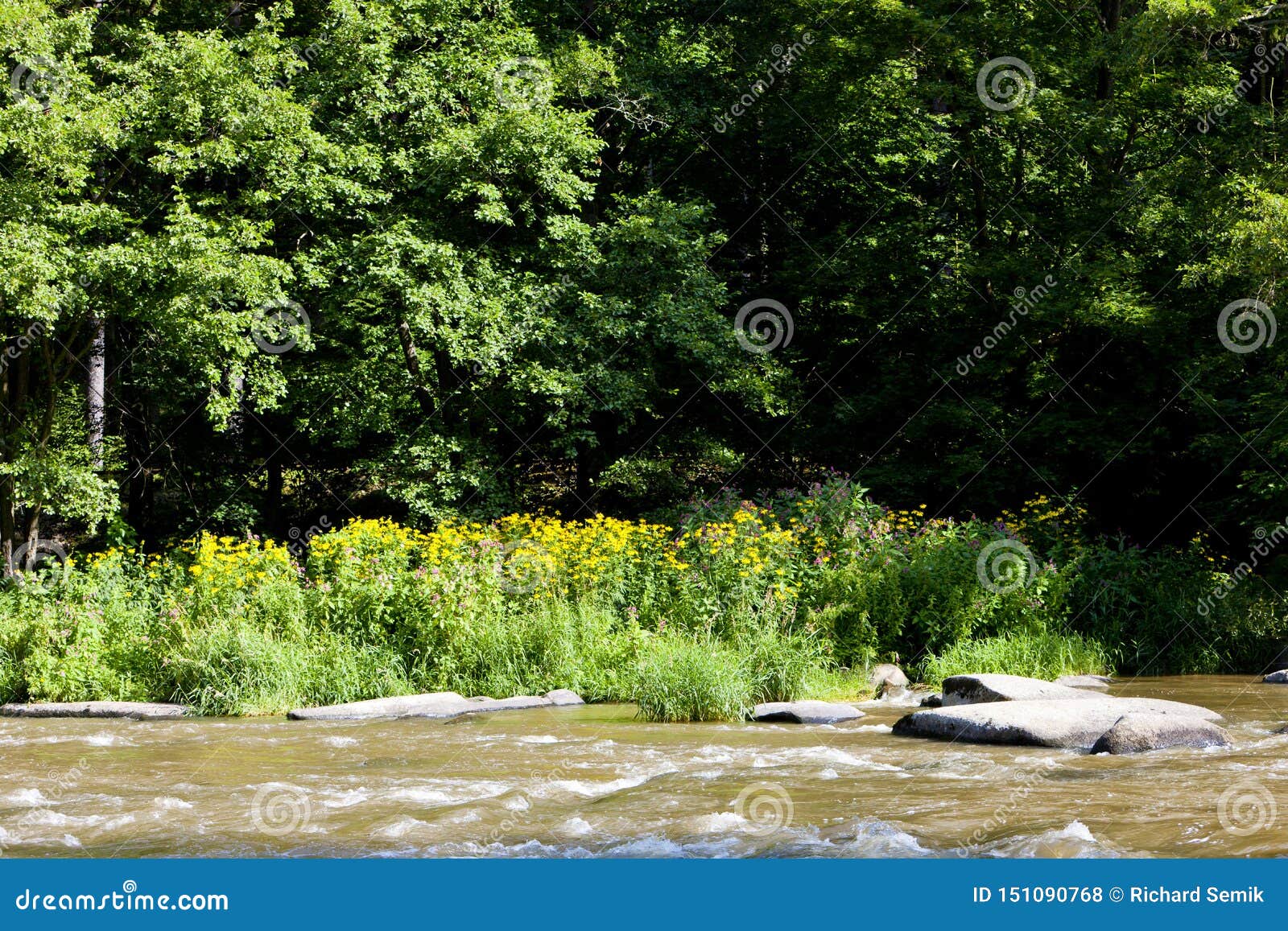 Sazava River, Czech Republic Stock Photo - Image of eastern, nature ...