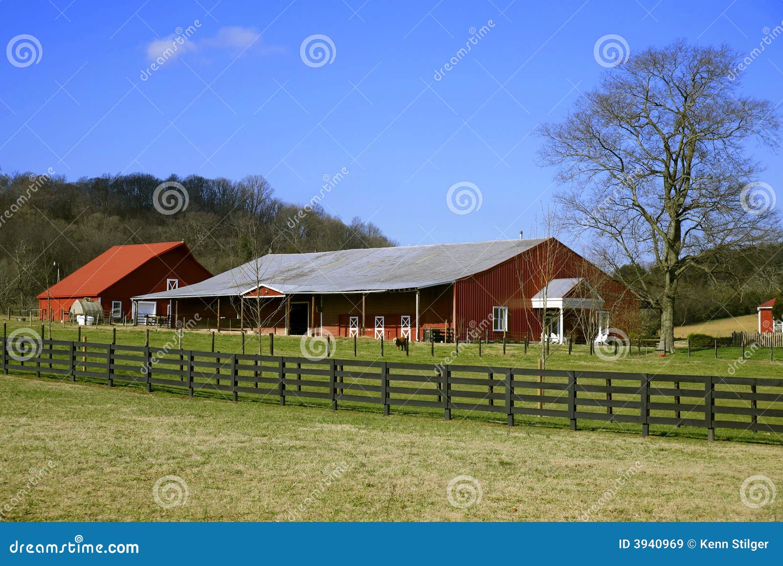 Scènes De Ferme Du Tennessee Image stock - Image du cumberland, granges ...