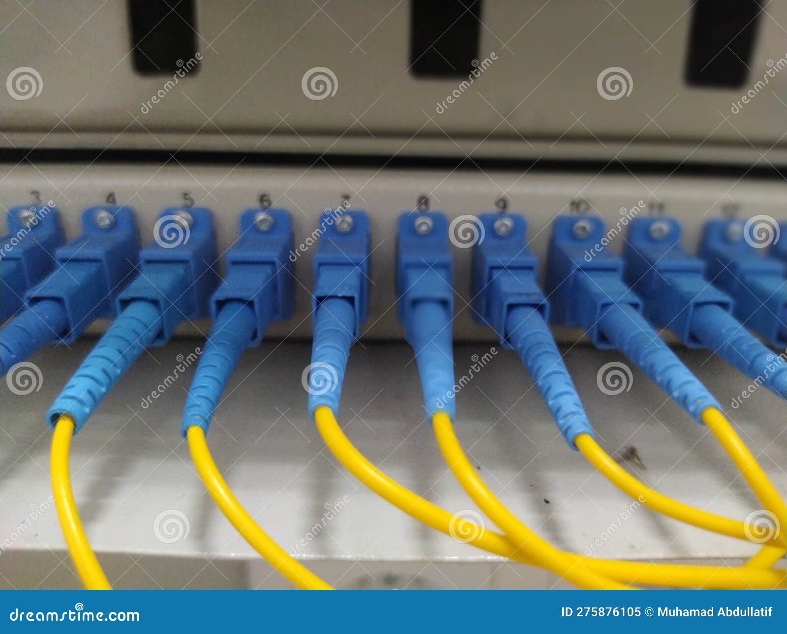 Sc Type Fiber Optic Cable Terminal in Telecommunication Server Stock ...