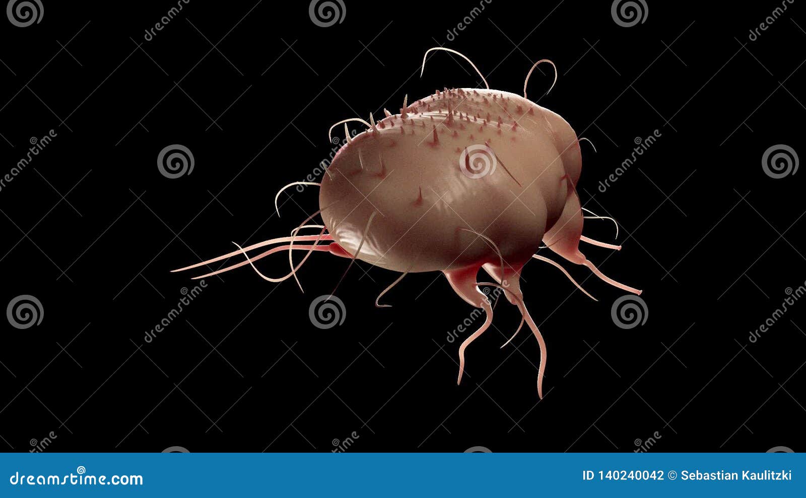 Scabies Mite Stock Footage & Videos - 2 Stock Videos