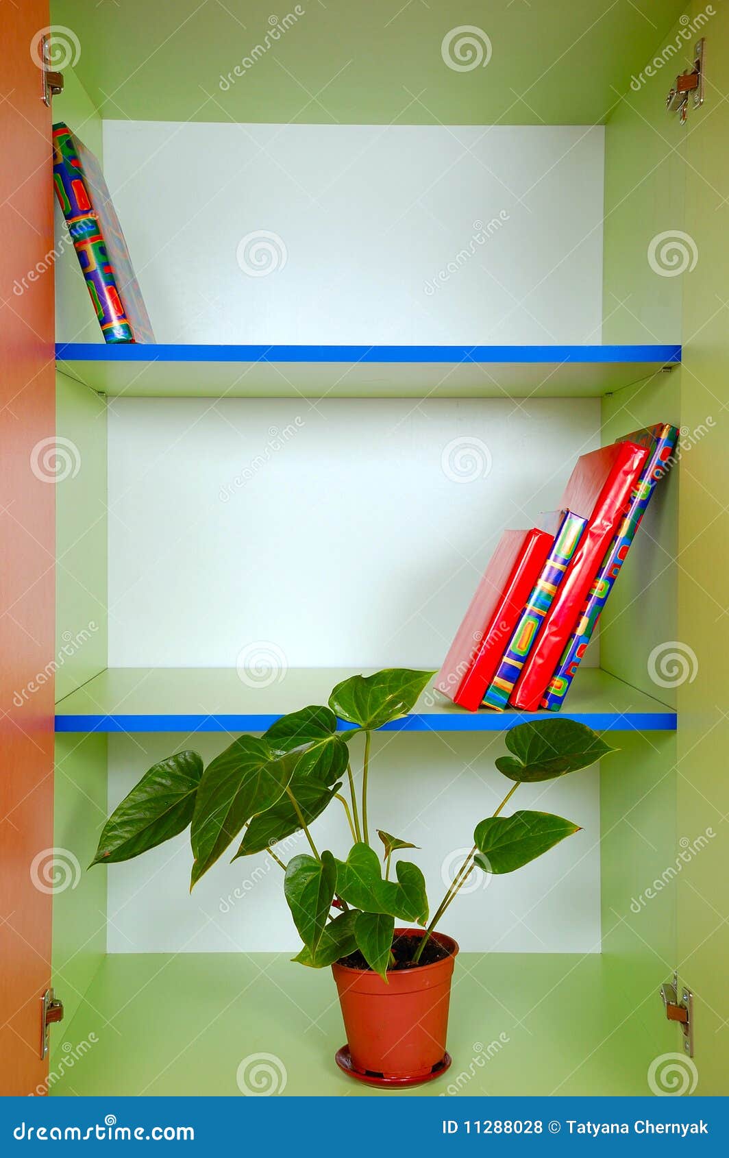 Scaffale Con I Libri E Una Pianta Fotografia Stock - Immagine di ...