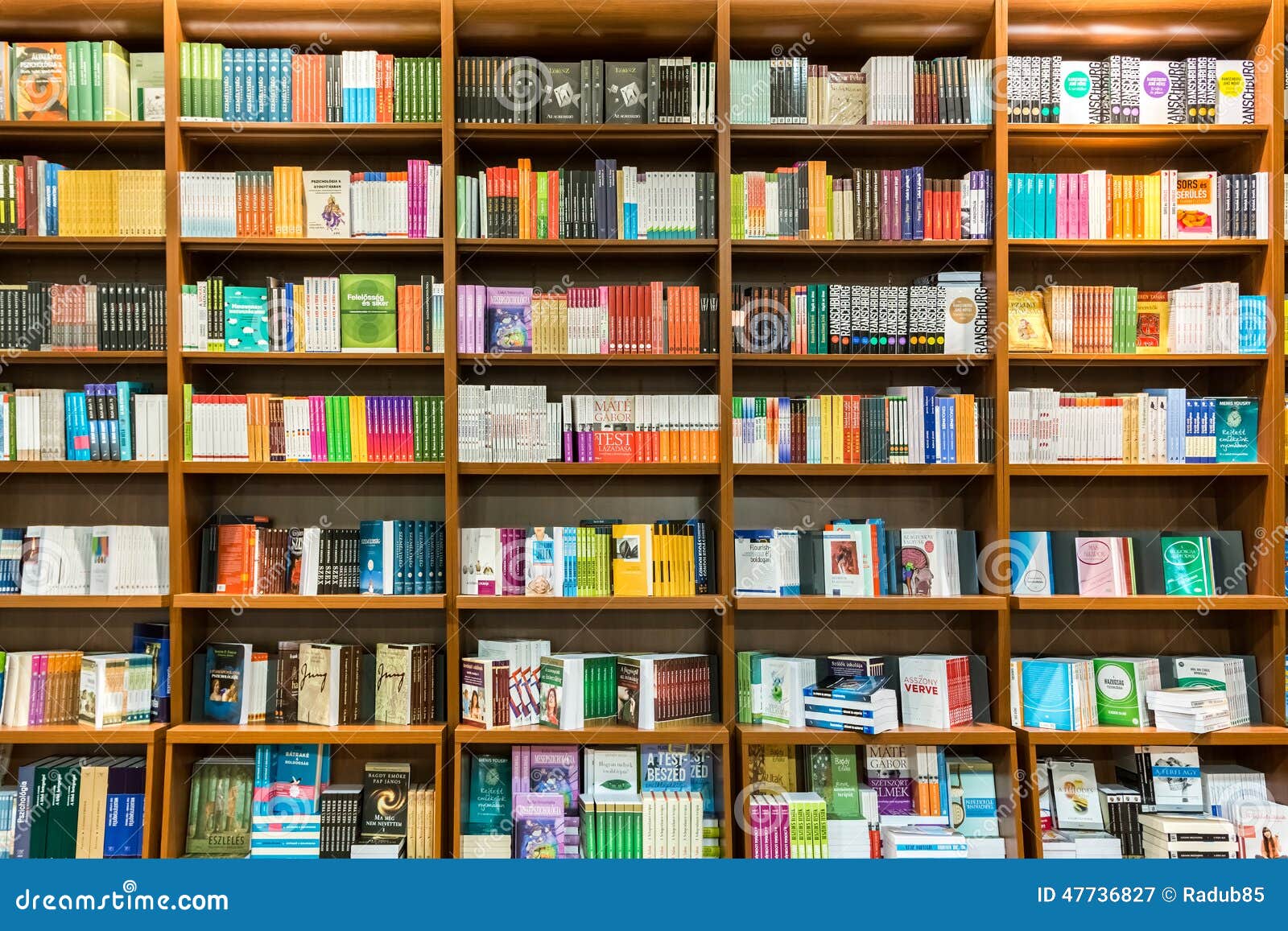 Scaffale Per Libri in Biblioteca Con I Libri Da Vendere Fotografia ...