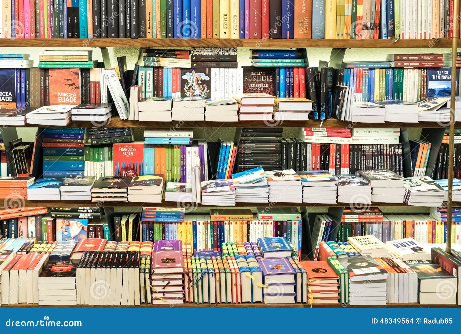 Scaffale Per Libri Con I Libri in Biblioteca Immagine Stock Editoriale ...