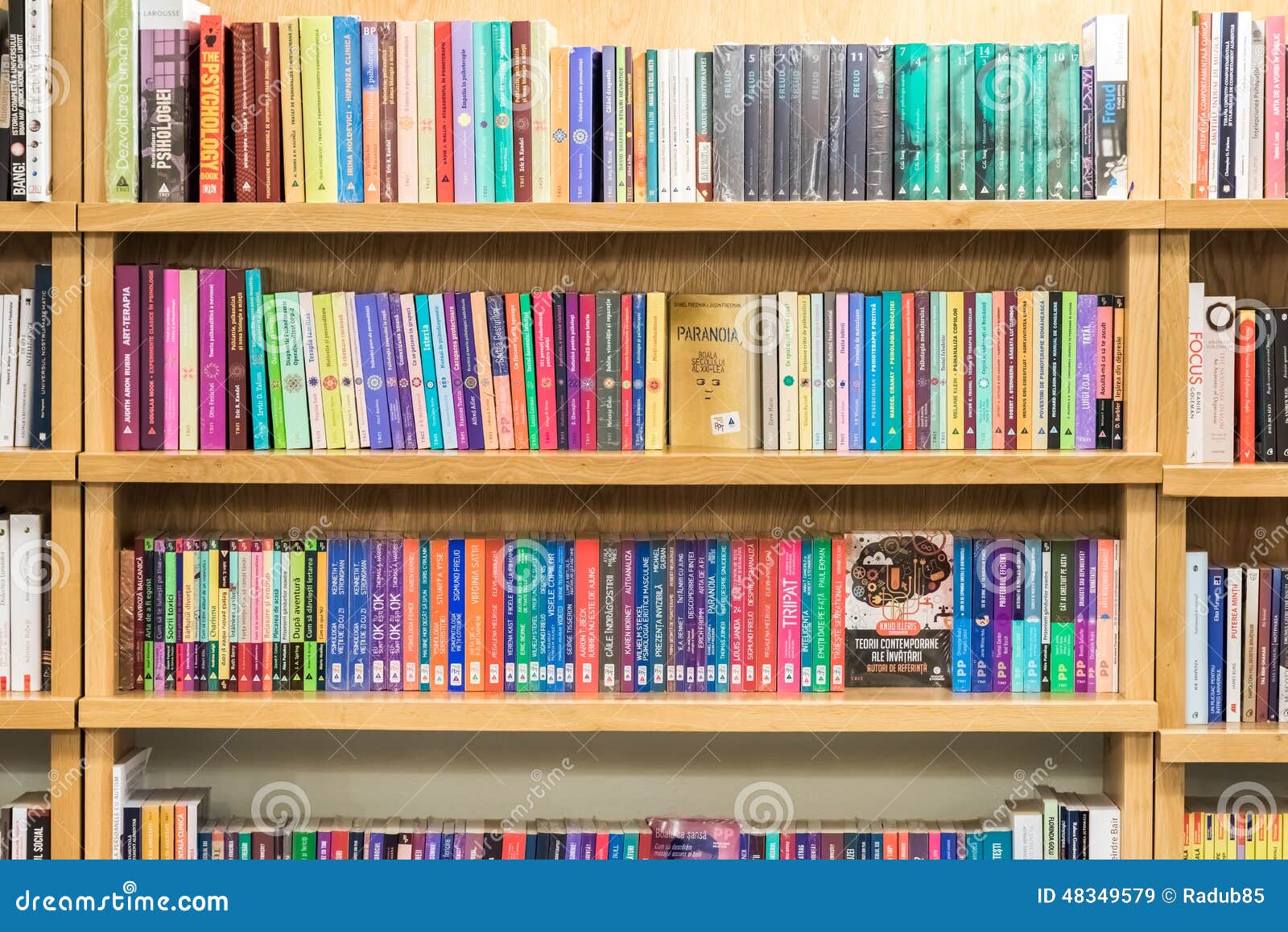 Scaffale Per Libri Con I Libri in Biblioteca Immagine Stock Editoriale ...