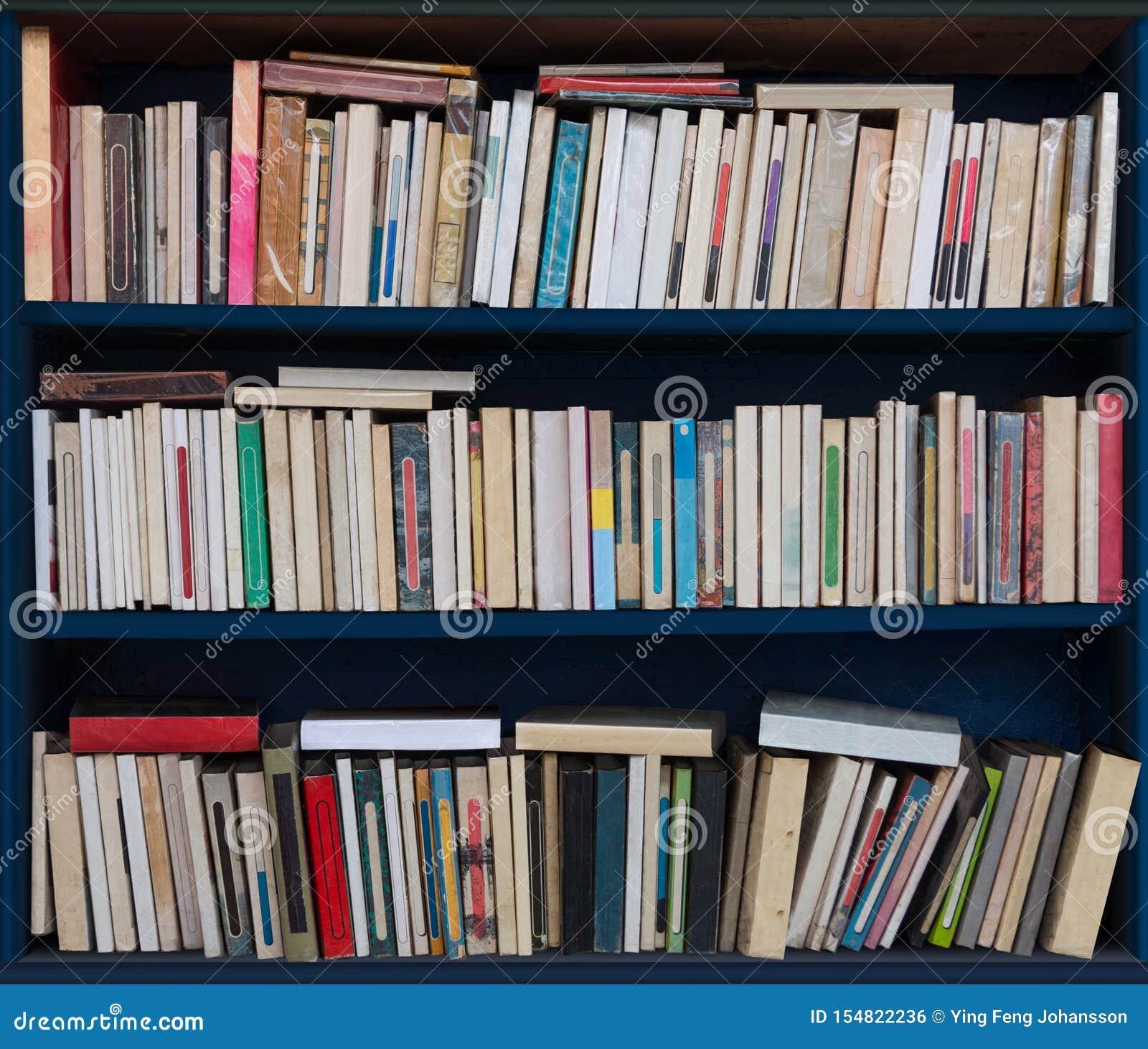 Scaffale Per Libri Con Molti Vecchi Libri in Varie Circostanze ...