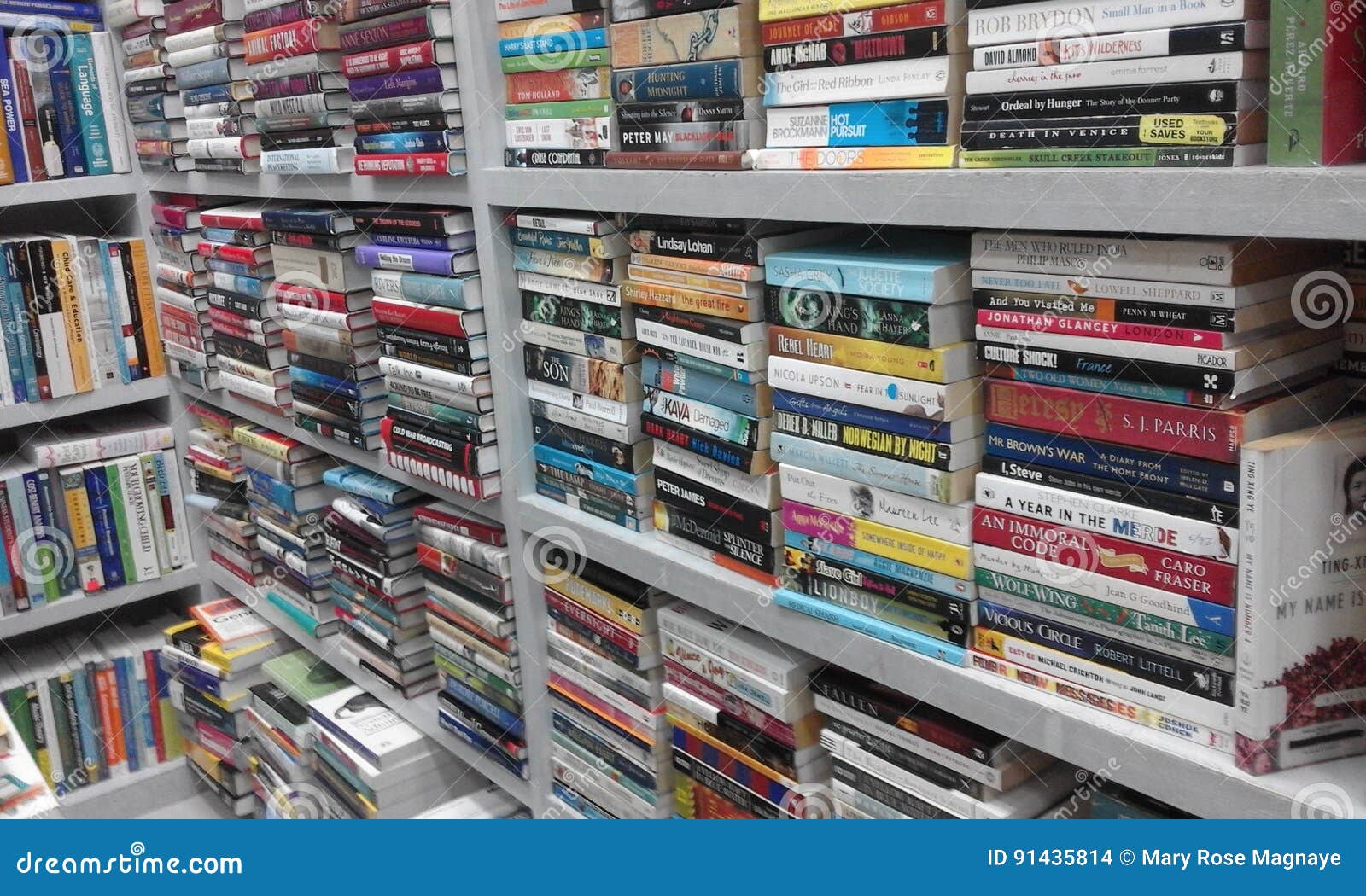 Scaffale Per Libri in Pieno Delle Collezioni Di Libro Immagine Stock ...