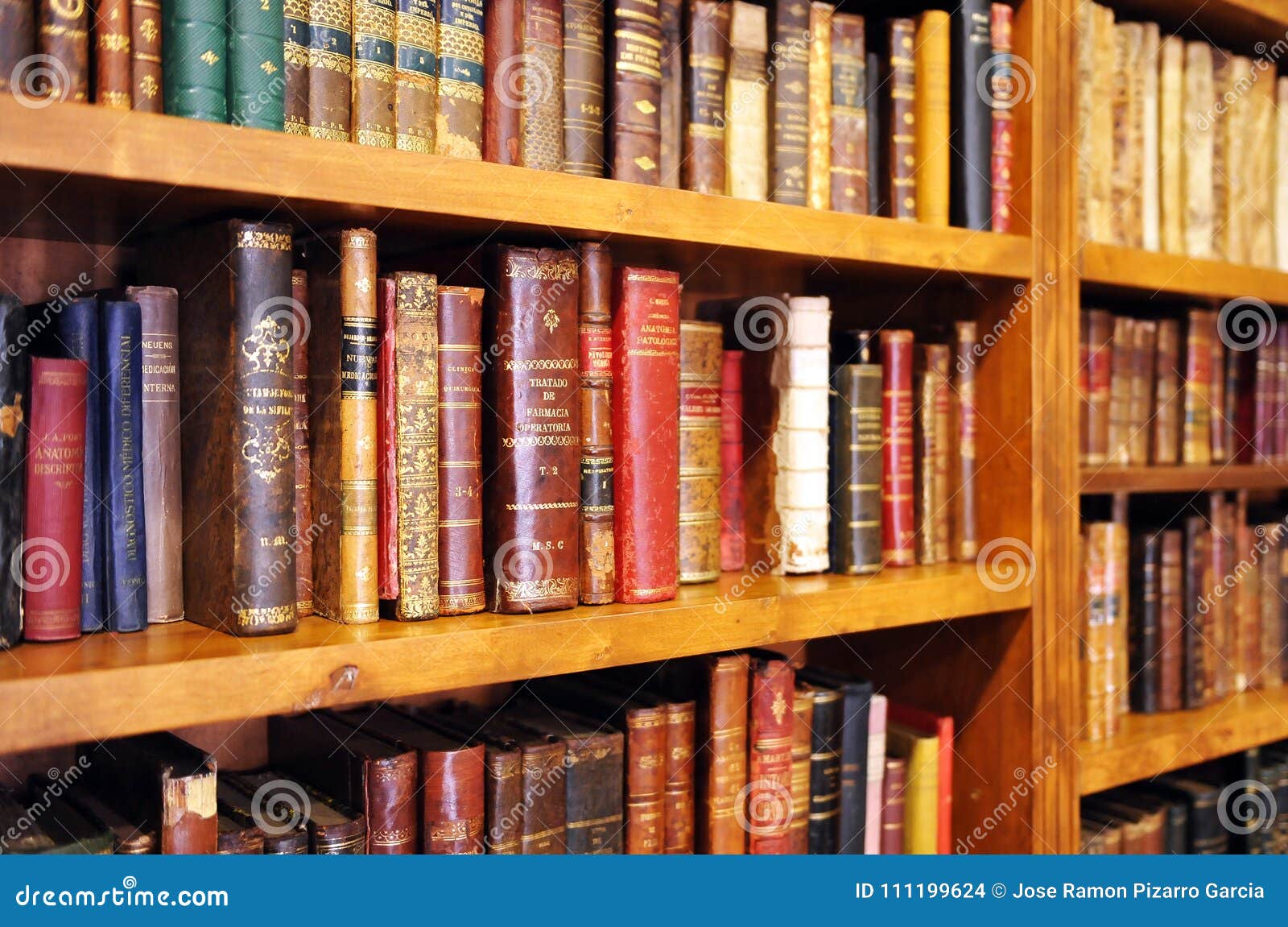 Scaffali Per Libri Dentro Una Libreria, Libri Antichi, Biblioteca ...