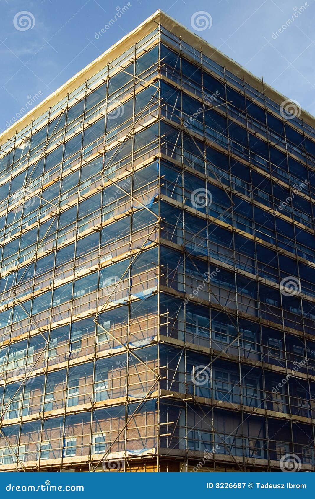 Scaffold Picture. Image: 8226687