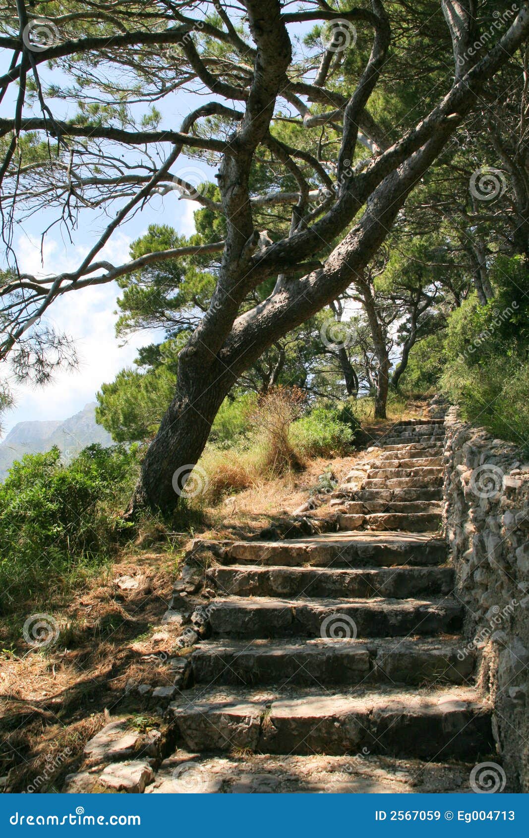 Scala immagine stock. Immagine di splendido, nave, aumento - 2567059