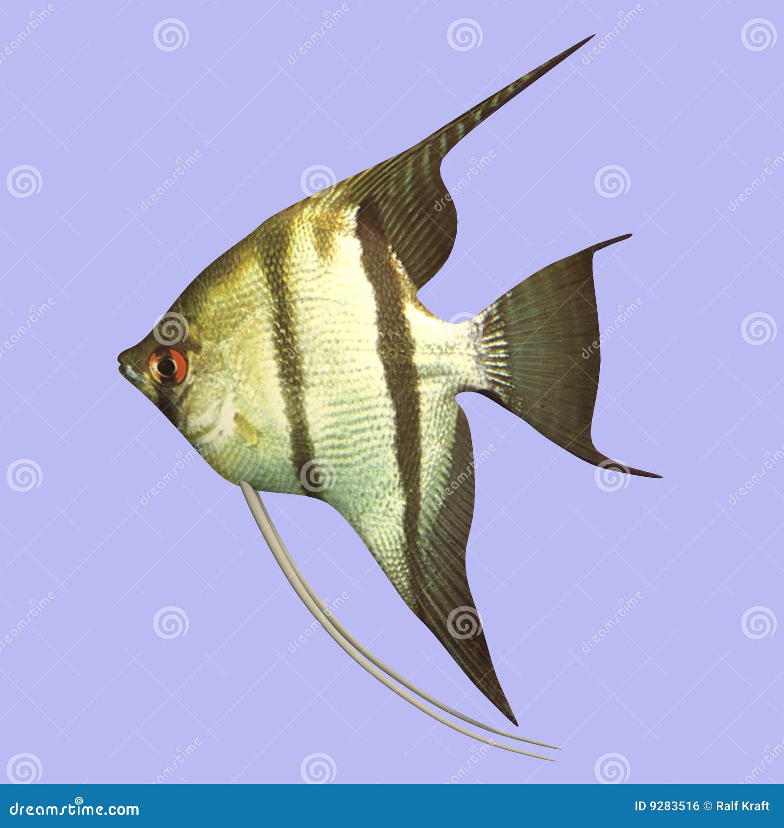 Scalar Cartoons, Illustrations & Vector Stock Images - 981 Pictures to ...