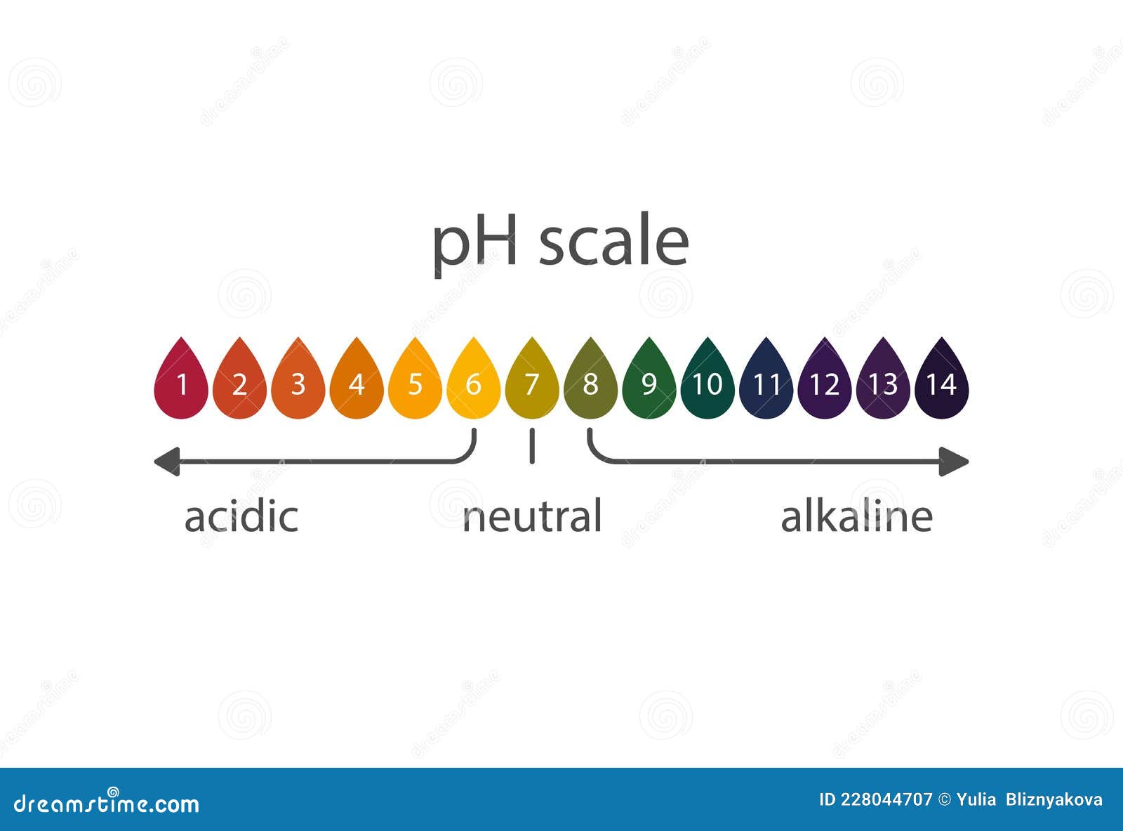 PH Scale. Litmus Paper Color Chart. Vector Illustration | CartoonDealer ... PH Scale. Litmus Paper Color Chart. Vector Illustration | CartoonDealer ...