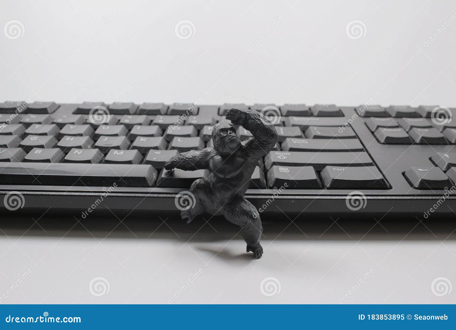 The Scale of Ape Attack the Computer Keyboard Stock Image - Image of ...