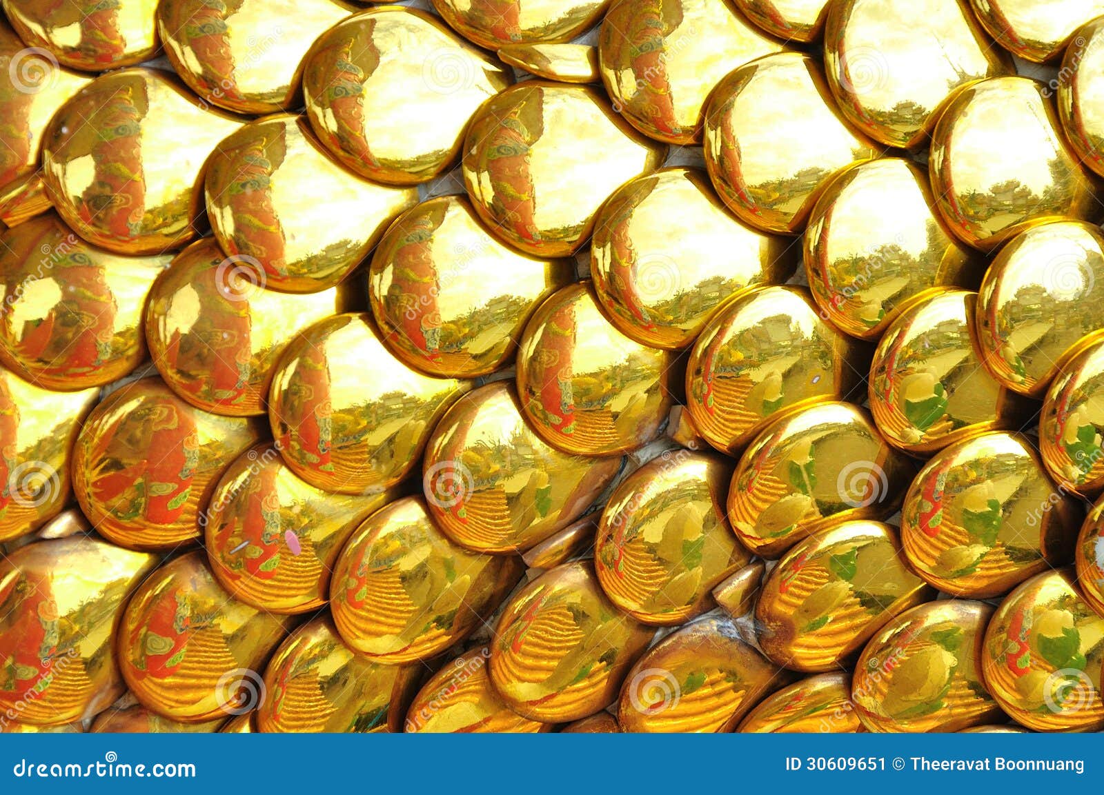 Scale of dragon stock image. Image of close, respect - 30609651