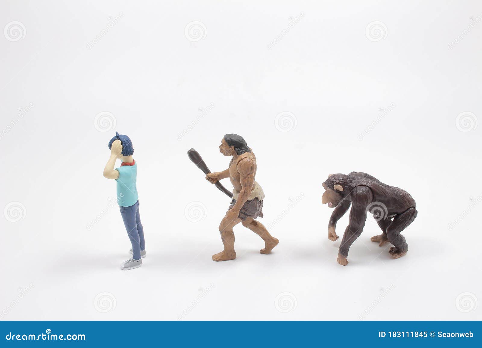 A Scale of Figure of Human Evolution Stock Image - Image of life ...