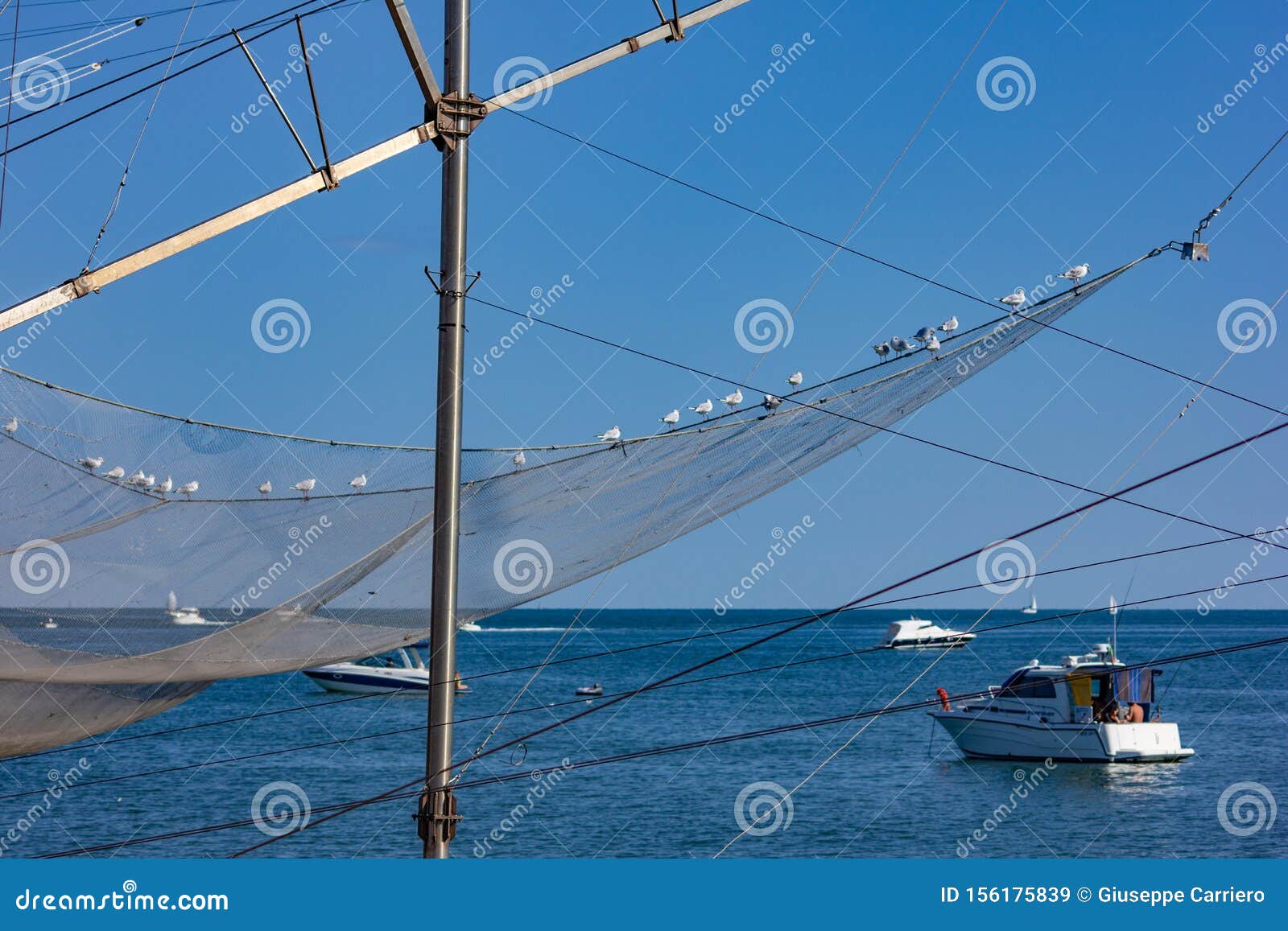 The Scale is Formed by a Piece of Single Net, Usually Square in Shape ...