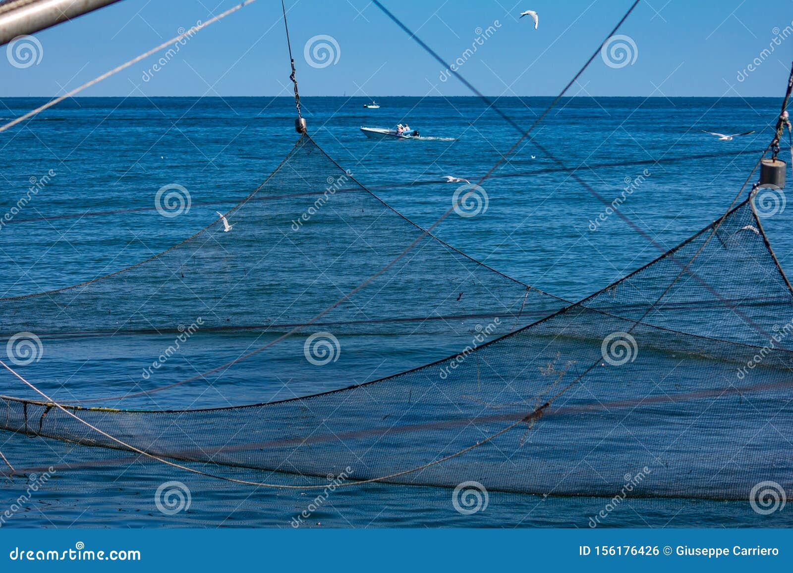 The Scale is Formed by a Piece of Single Net, Usually Square in Shape ...